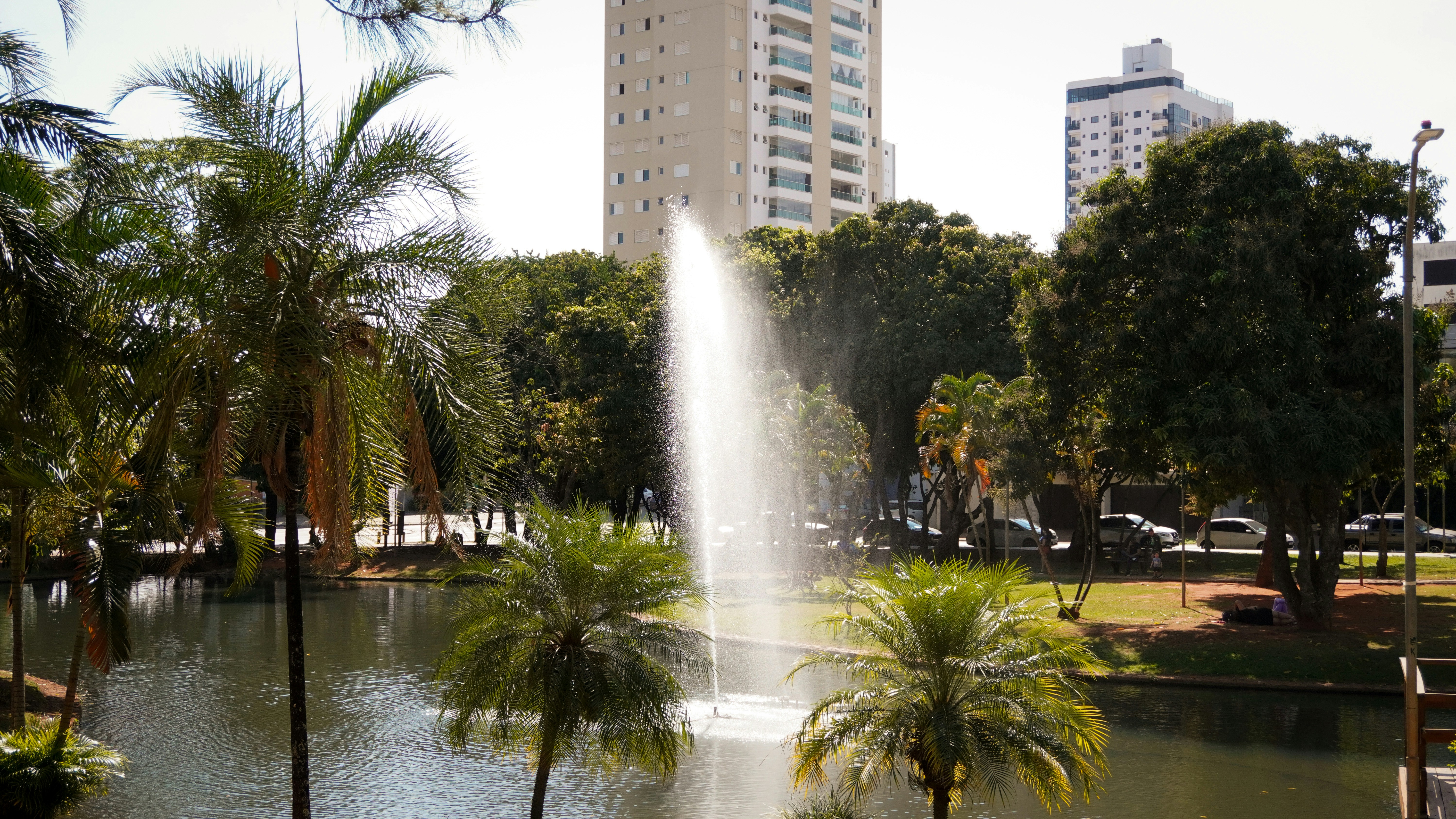 Urban Oasis with a Central Fountain Amid Tall Dwellings