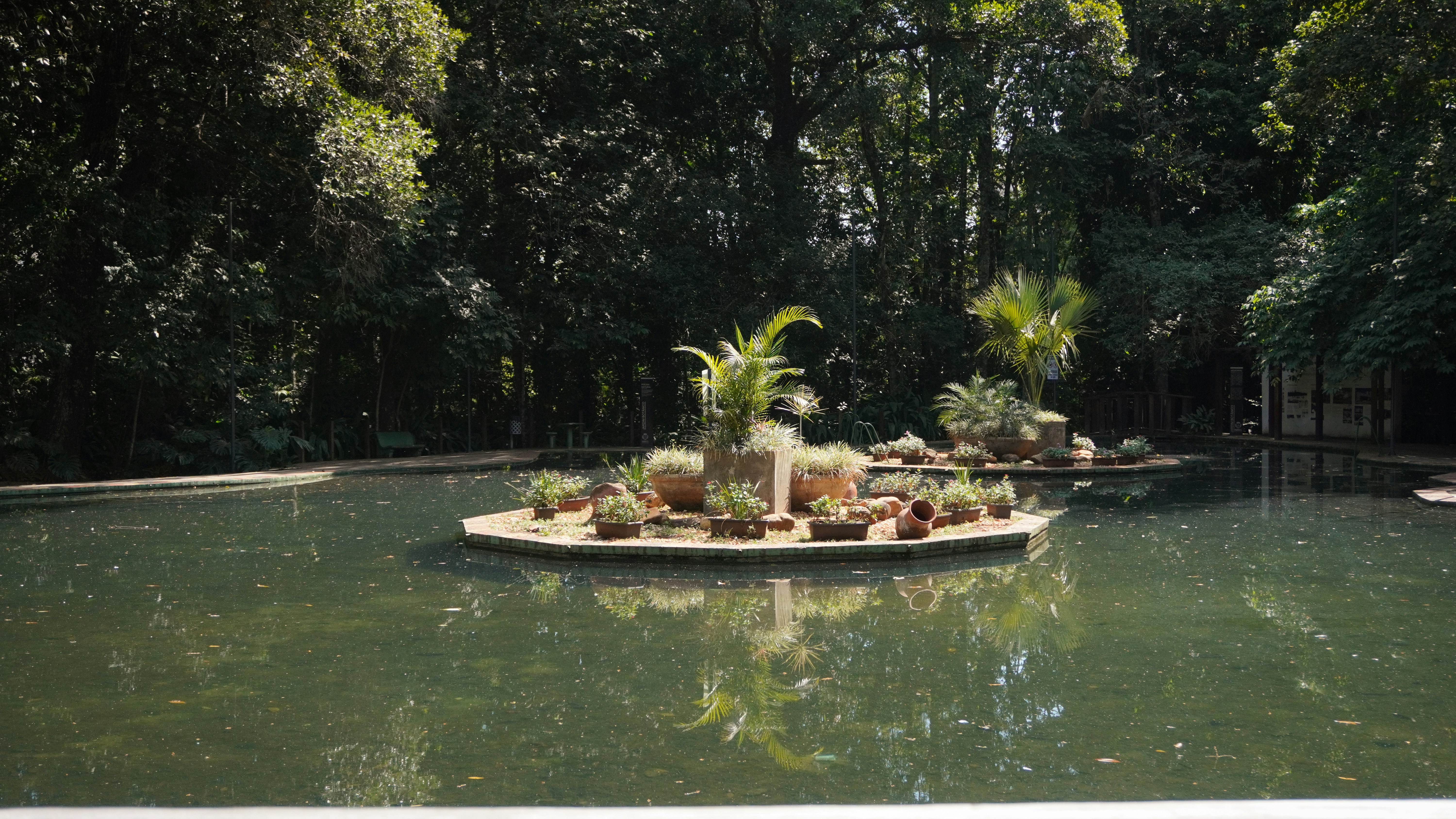 Floating island of pots: a serene courtyard pond centerpiece