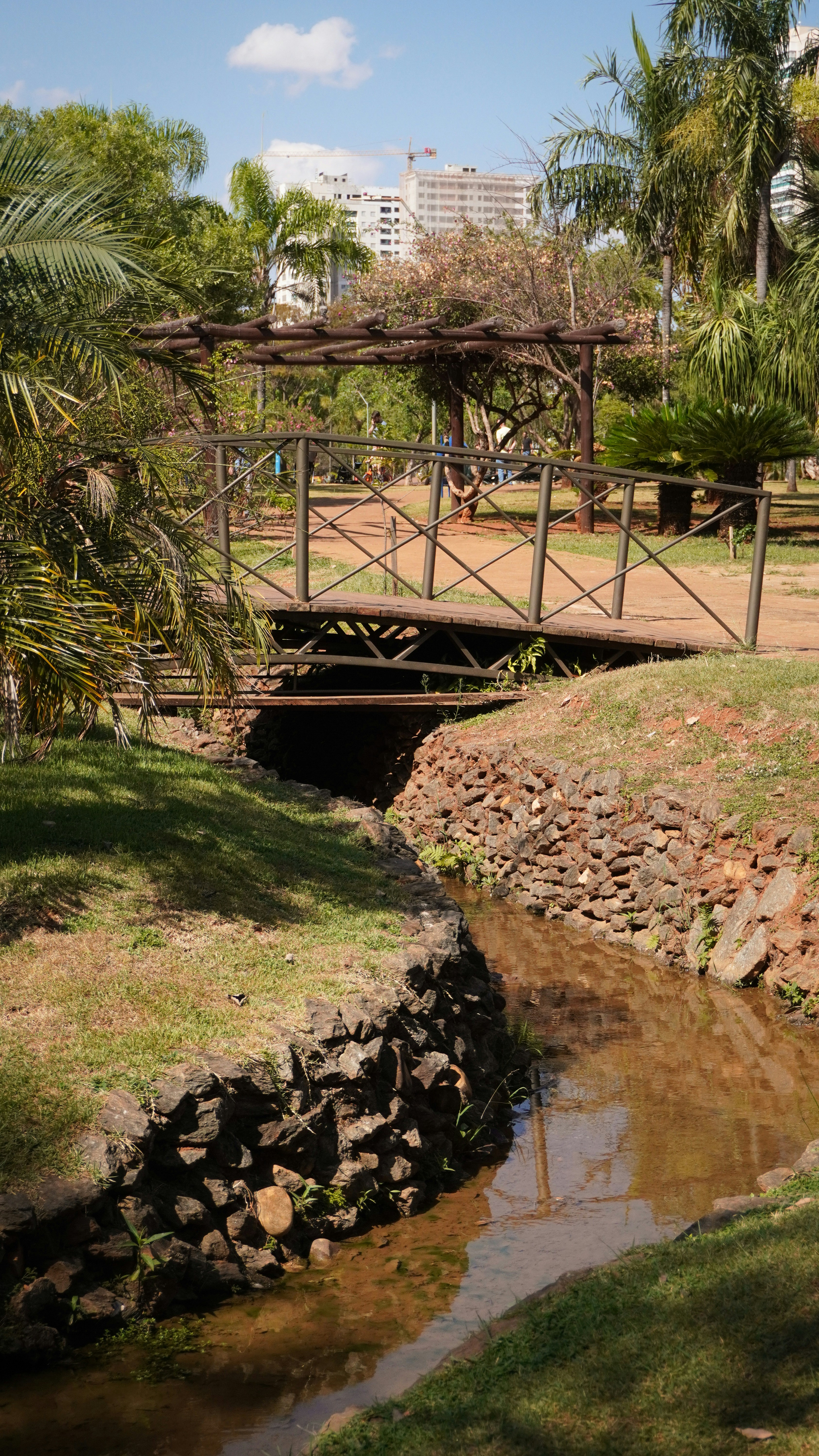 Bridge over a sunlit canal in a tropical park