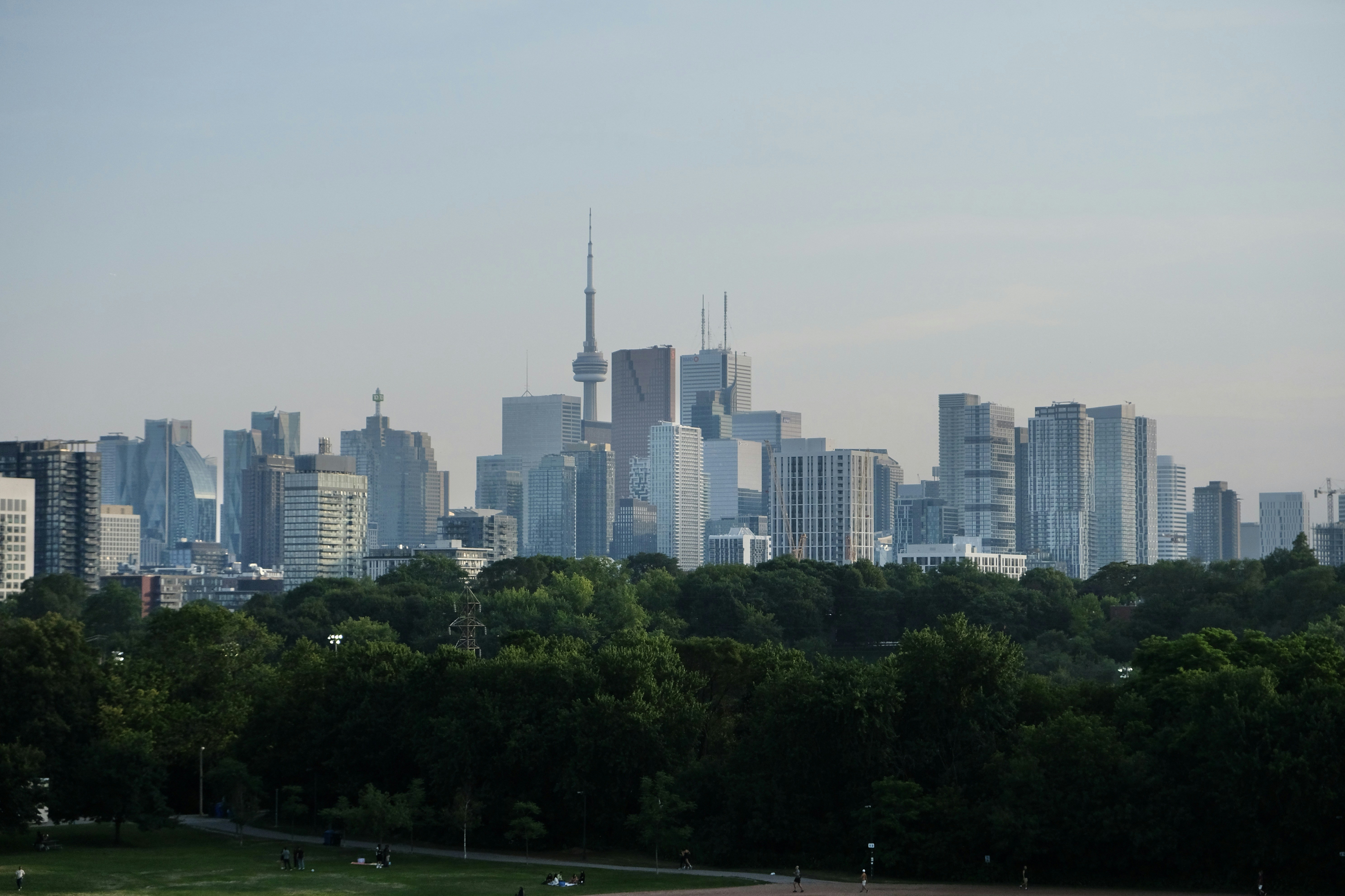 Midtown Skyline Rising Above a Green Riverbank