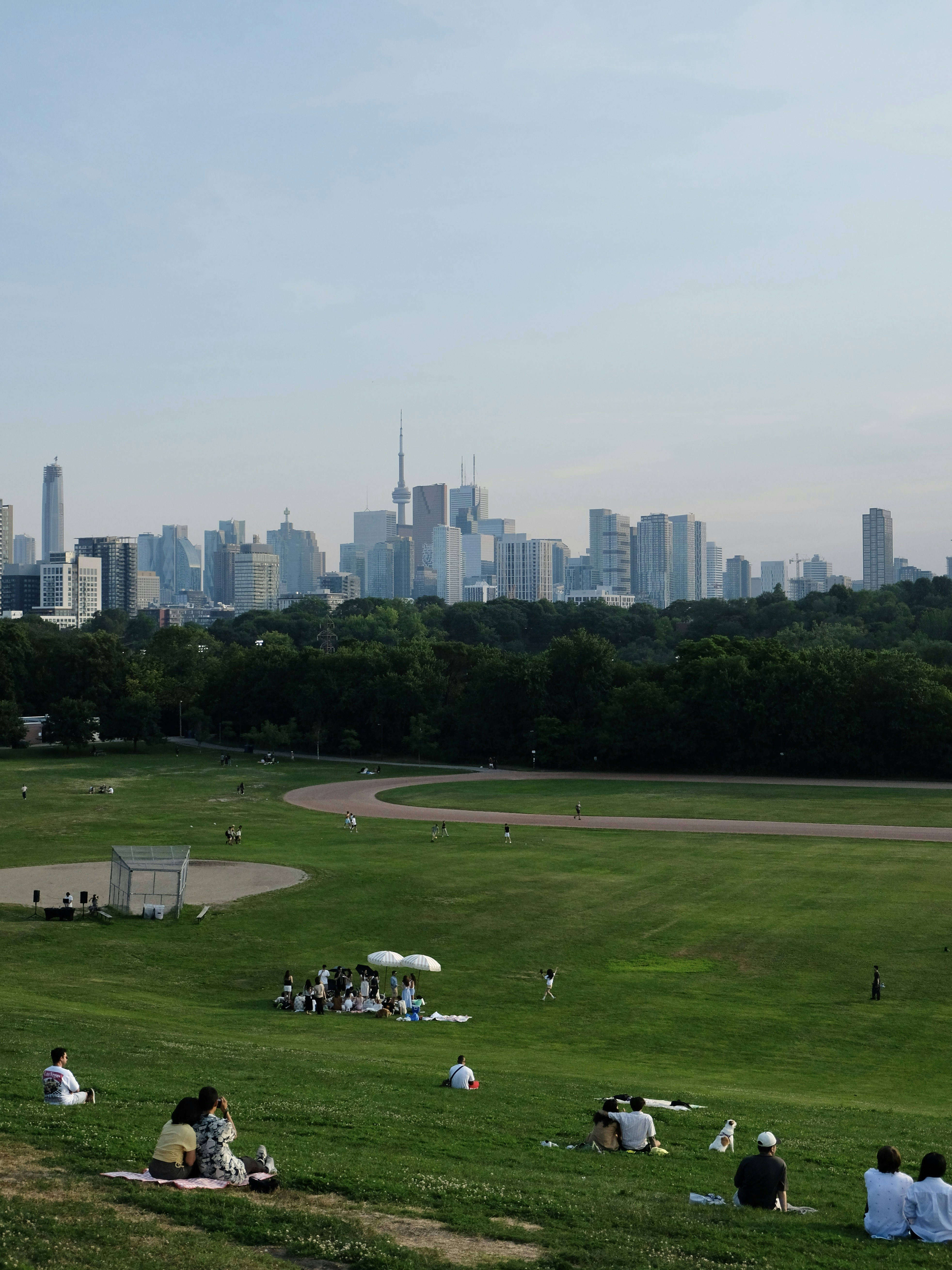 Urban Skyline Emerges Over a Sunlit Park