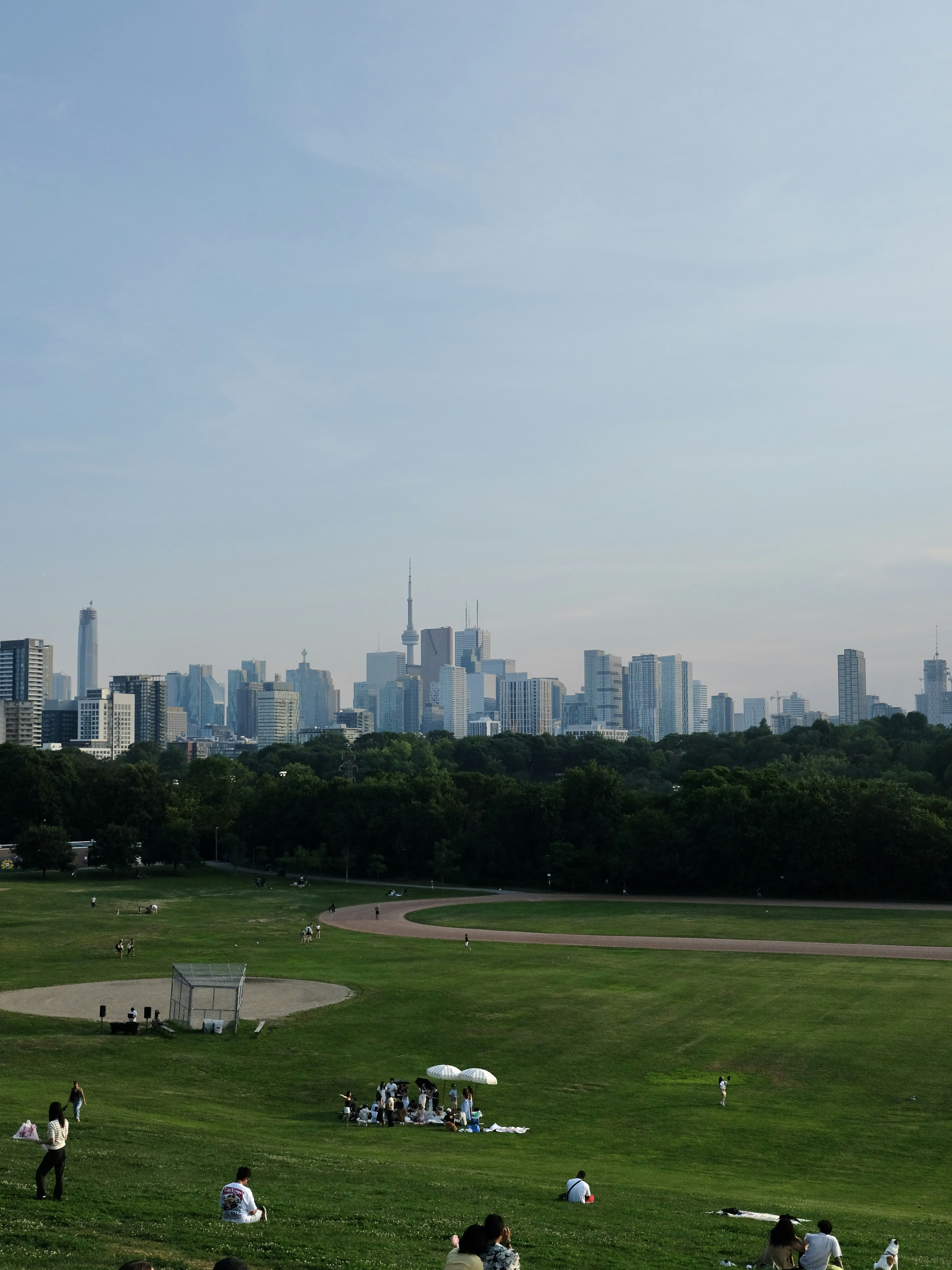 City Above the Park: A Skyline View Beyond the Green