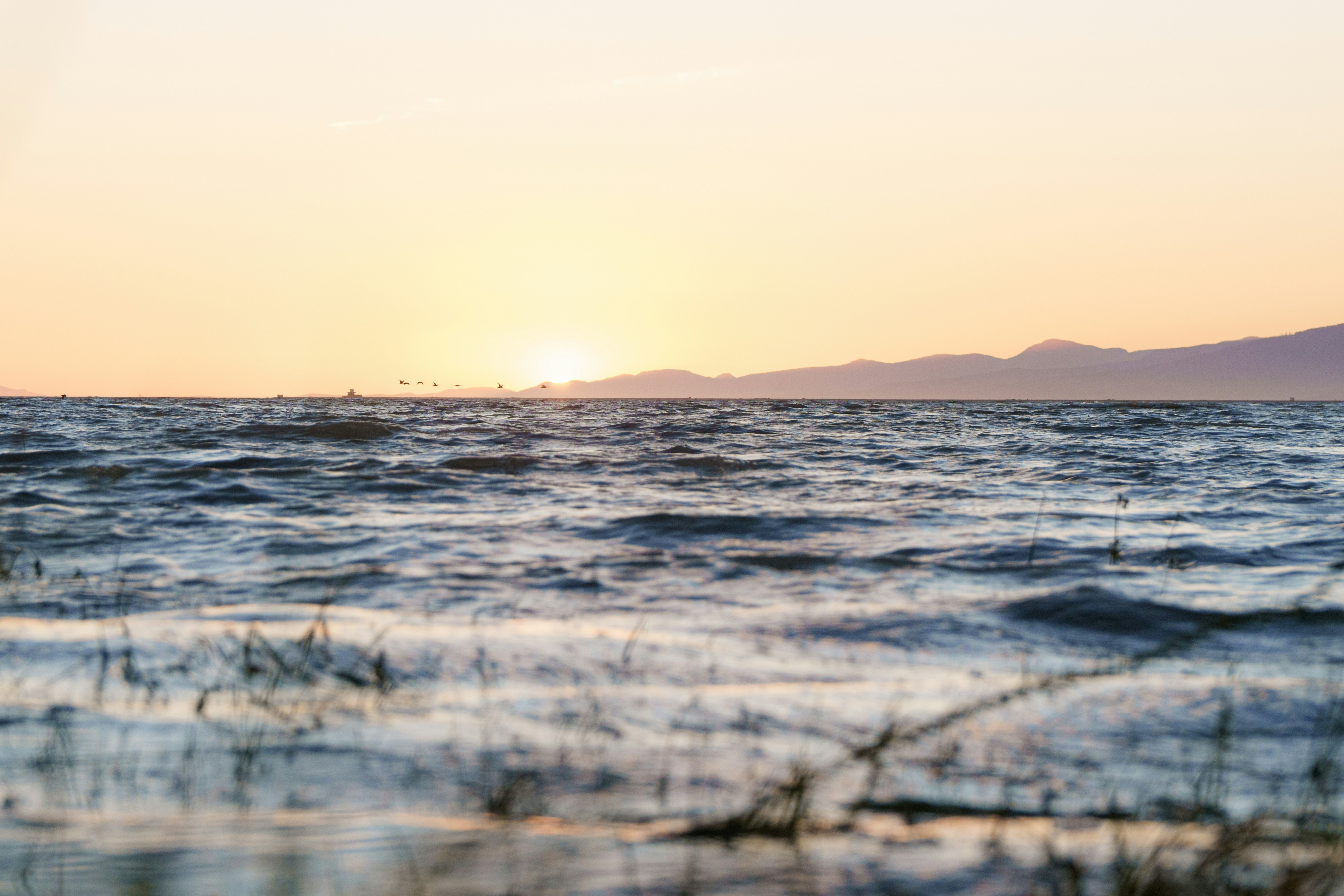 Dawn light over a tranquil sea with distant mountains on the horizon and sparse foreground sea grass; a wide seascape capturing soft pastel hues and gentle waves.