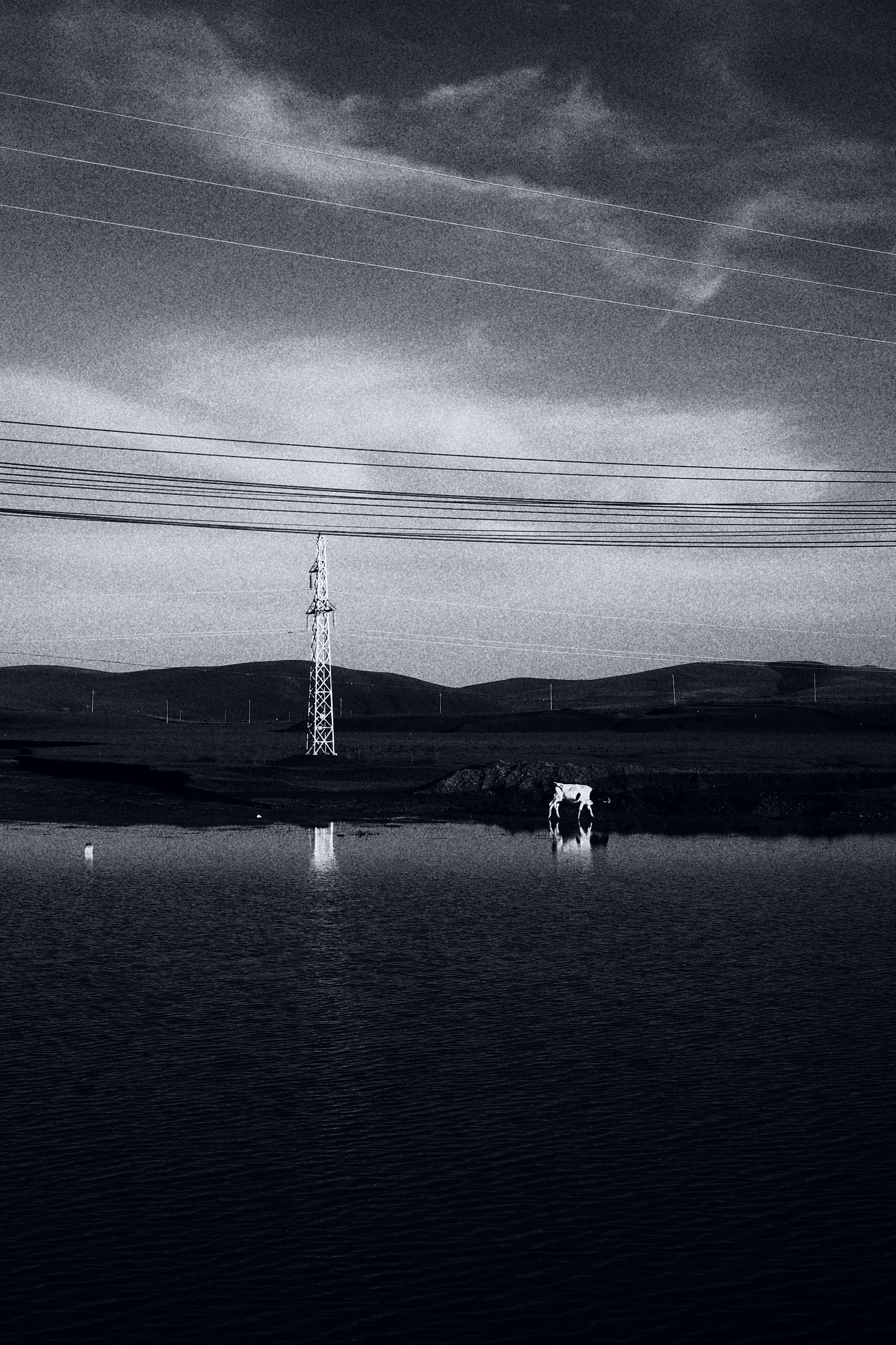 Powerline Silhouette over a Quiet Basin
