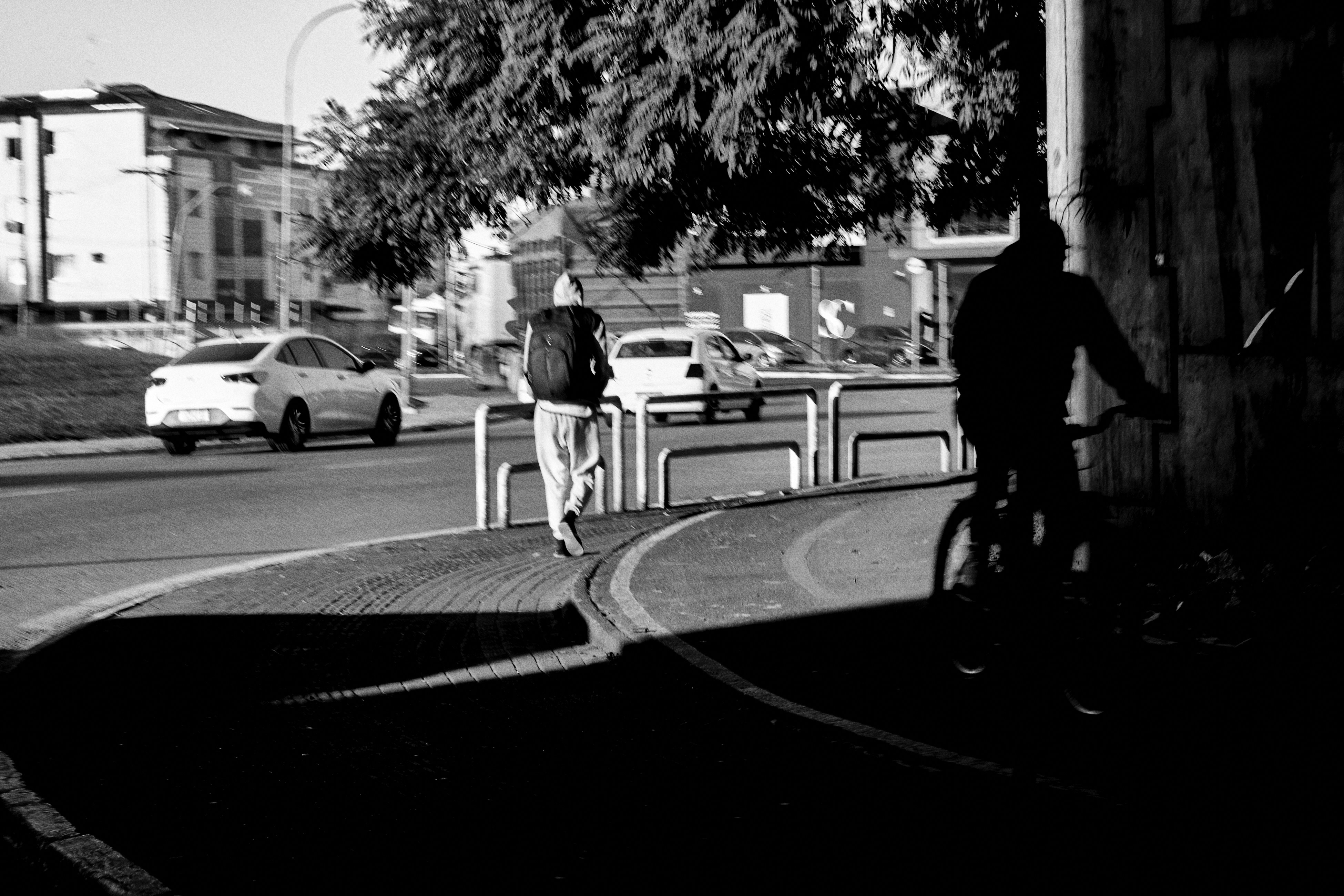 Midday Crossing: A Quiet Stride Beneath the Shadowed Street
