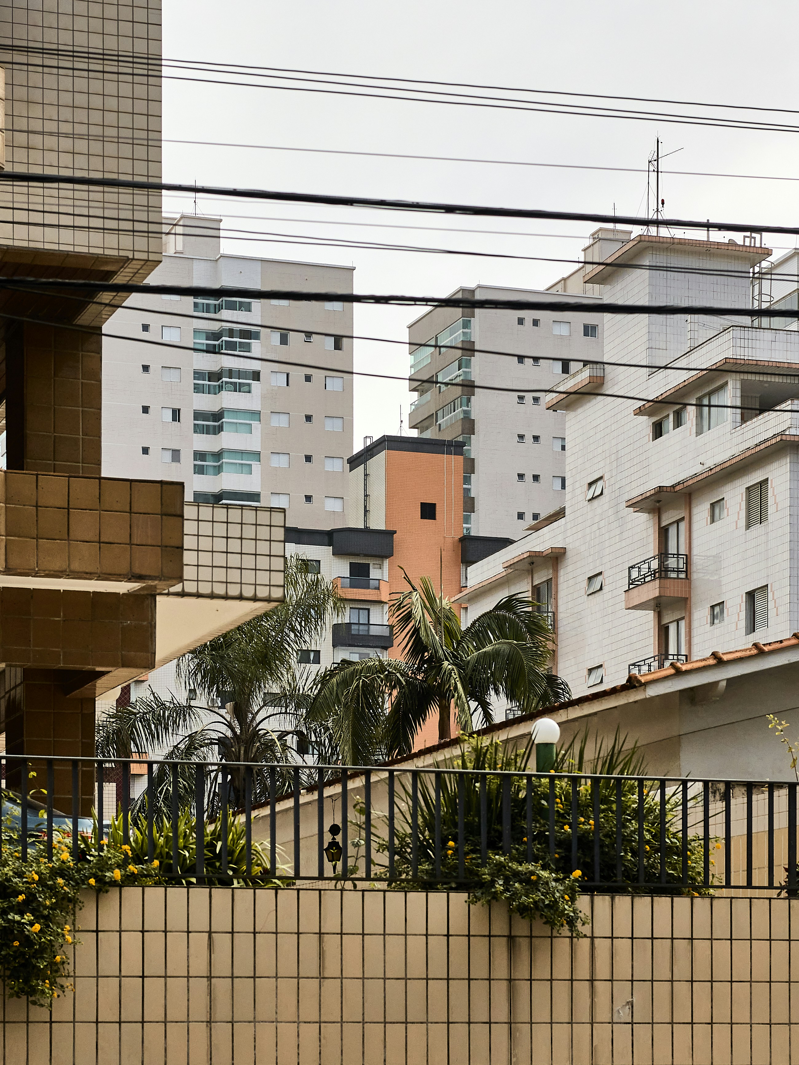 Urban Climb: Layers of a Cityscape Framed by Fencing and Foliage