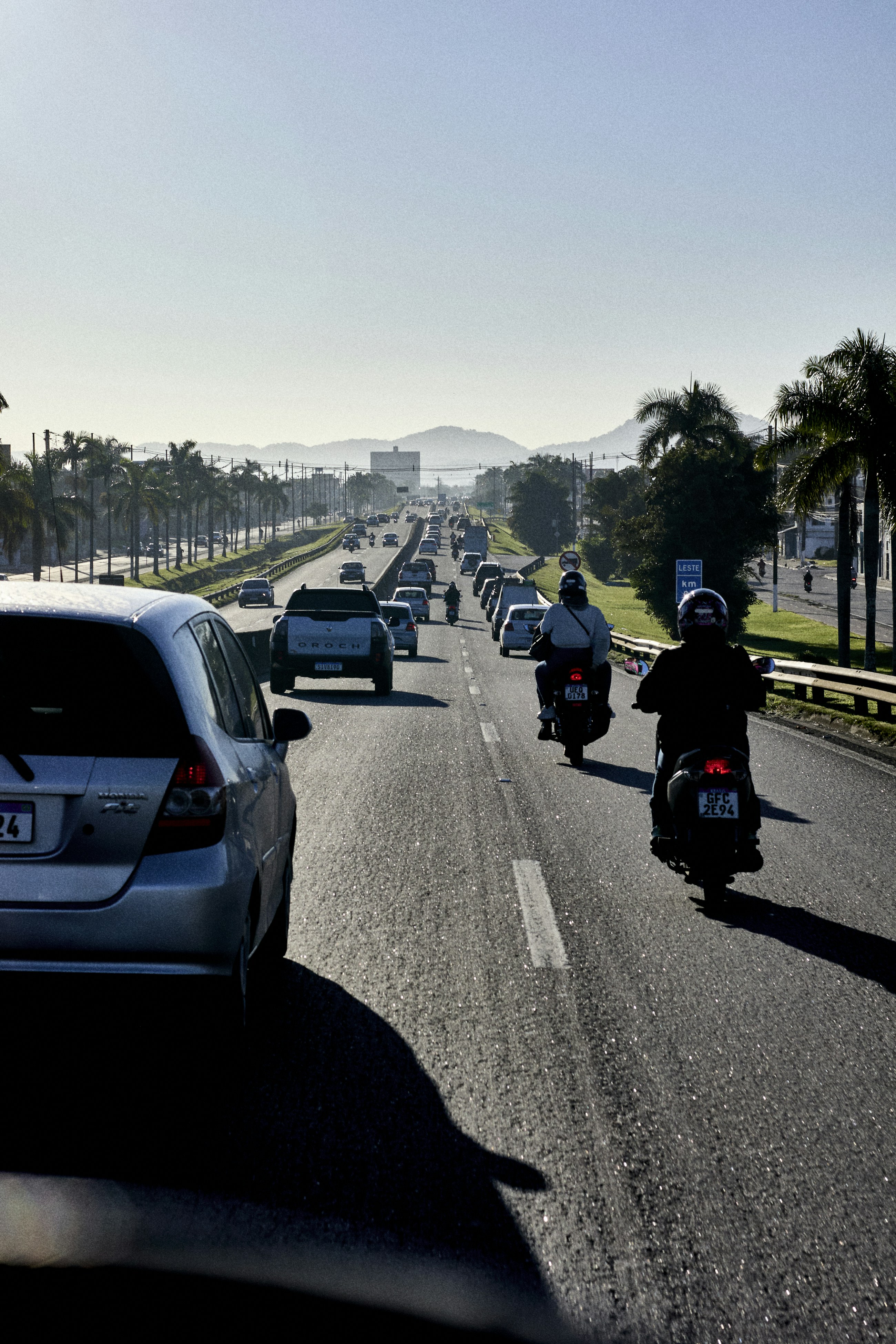 Sunlit Highway: A Corridor of Moving Shadows