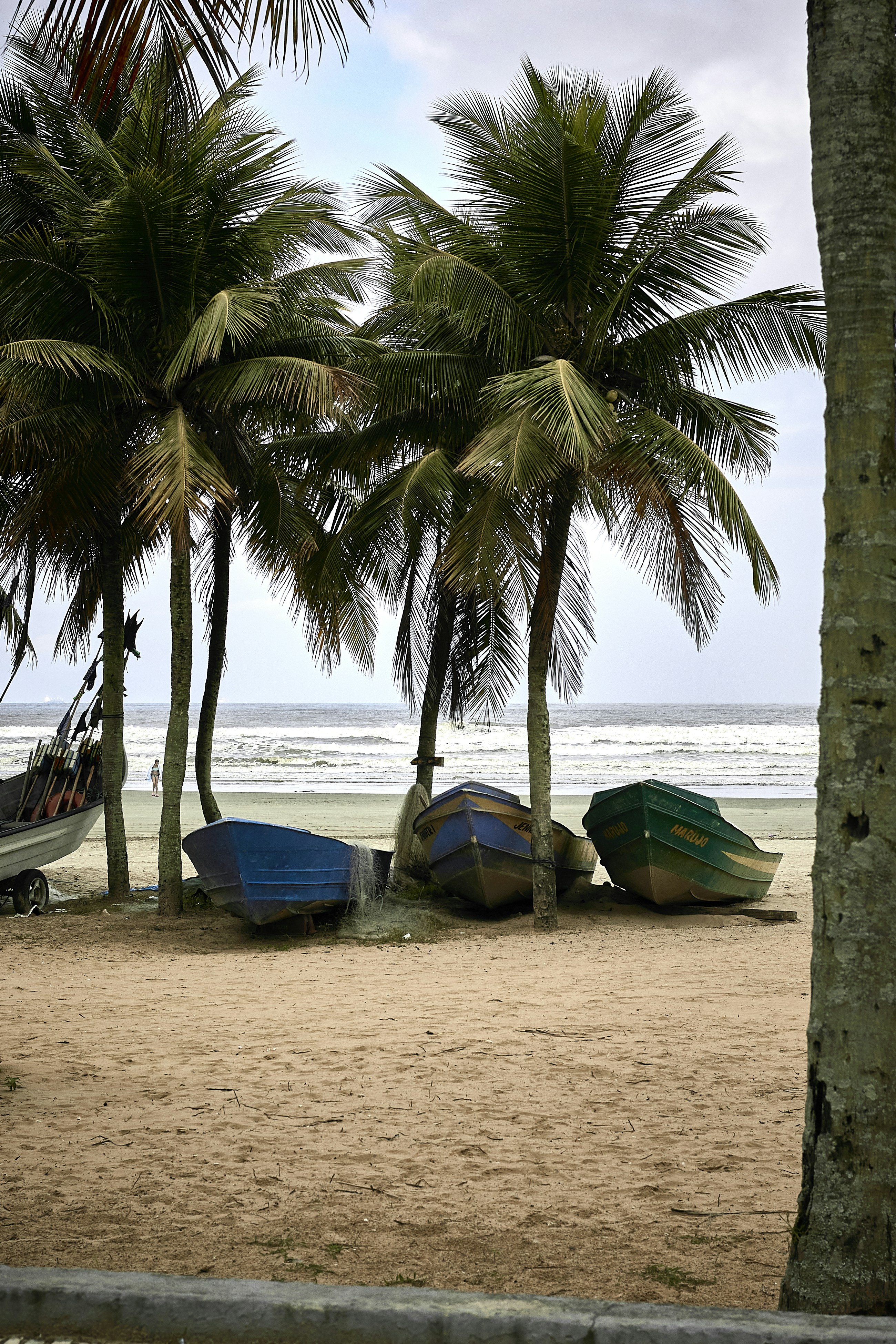 Palm Trees and Colorful Boats at a Sandy Seashore