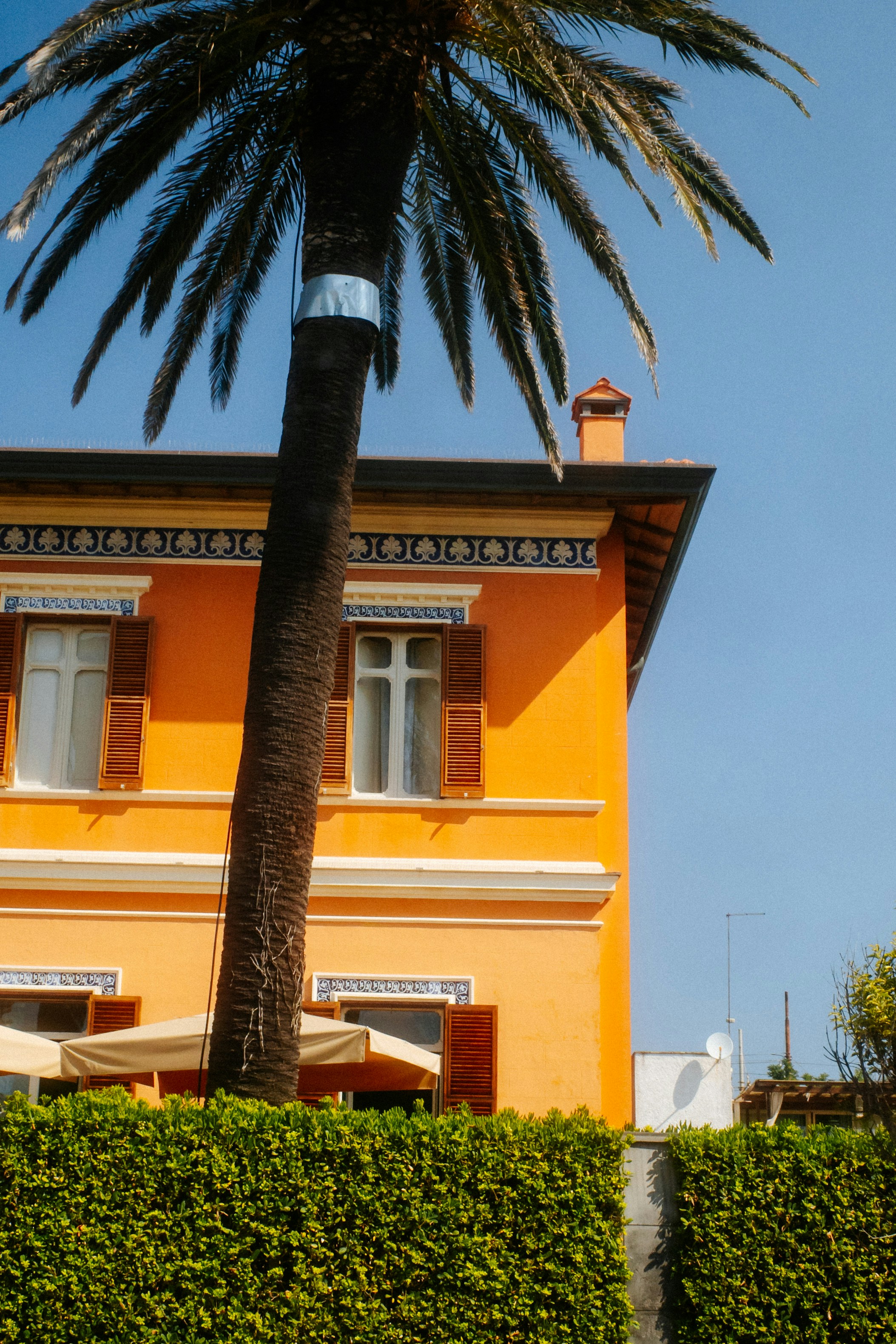 Orange Villa Under a Palm with Blue Skies