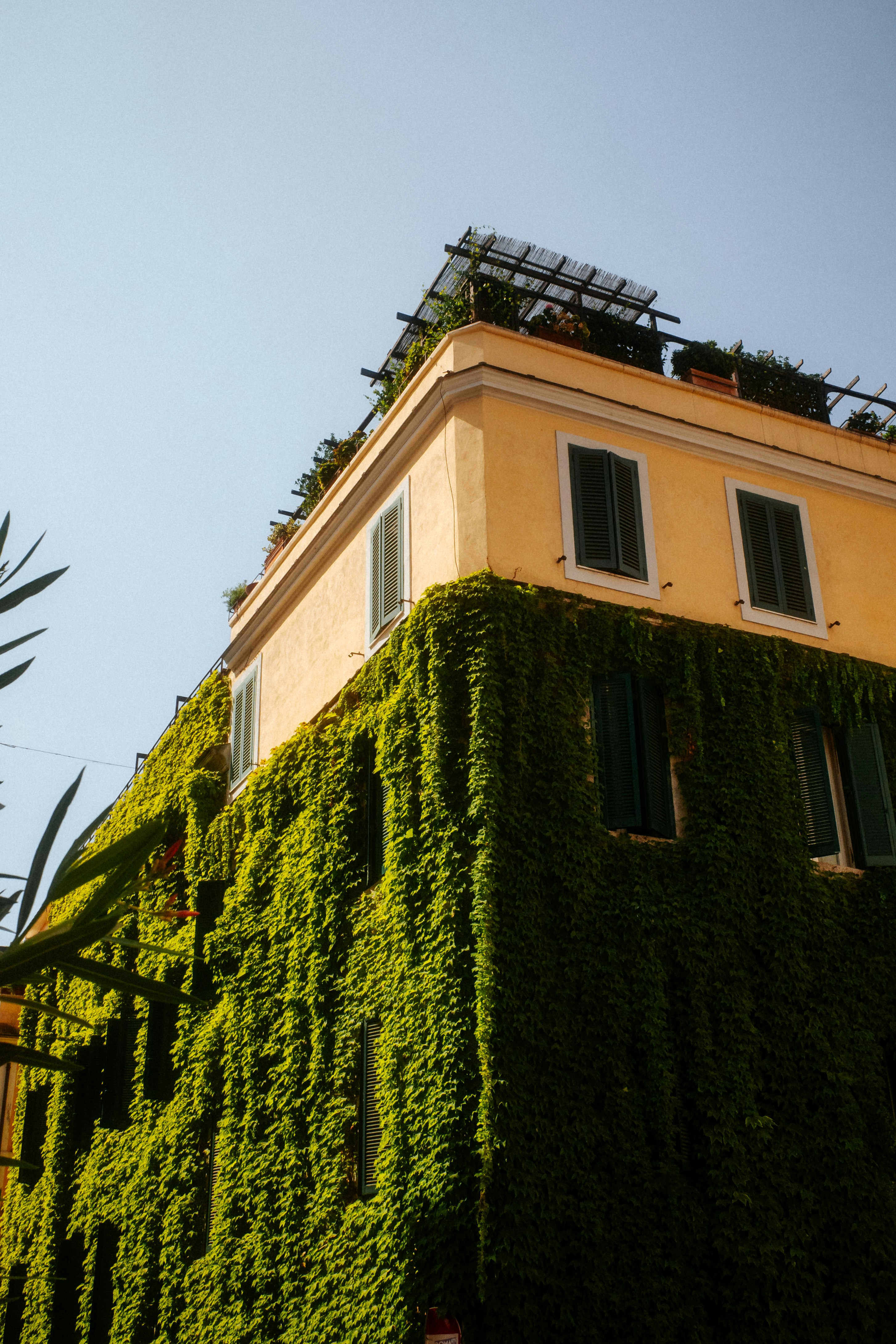Veruca green: ivy-clad villa under clear Mediterranean sky