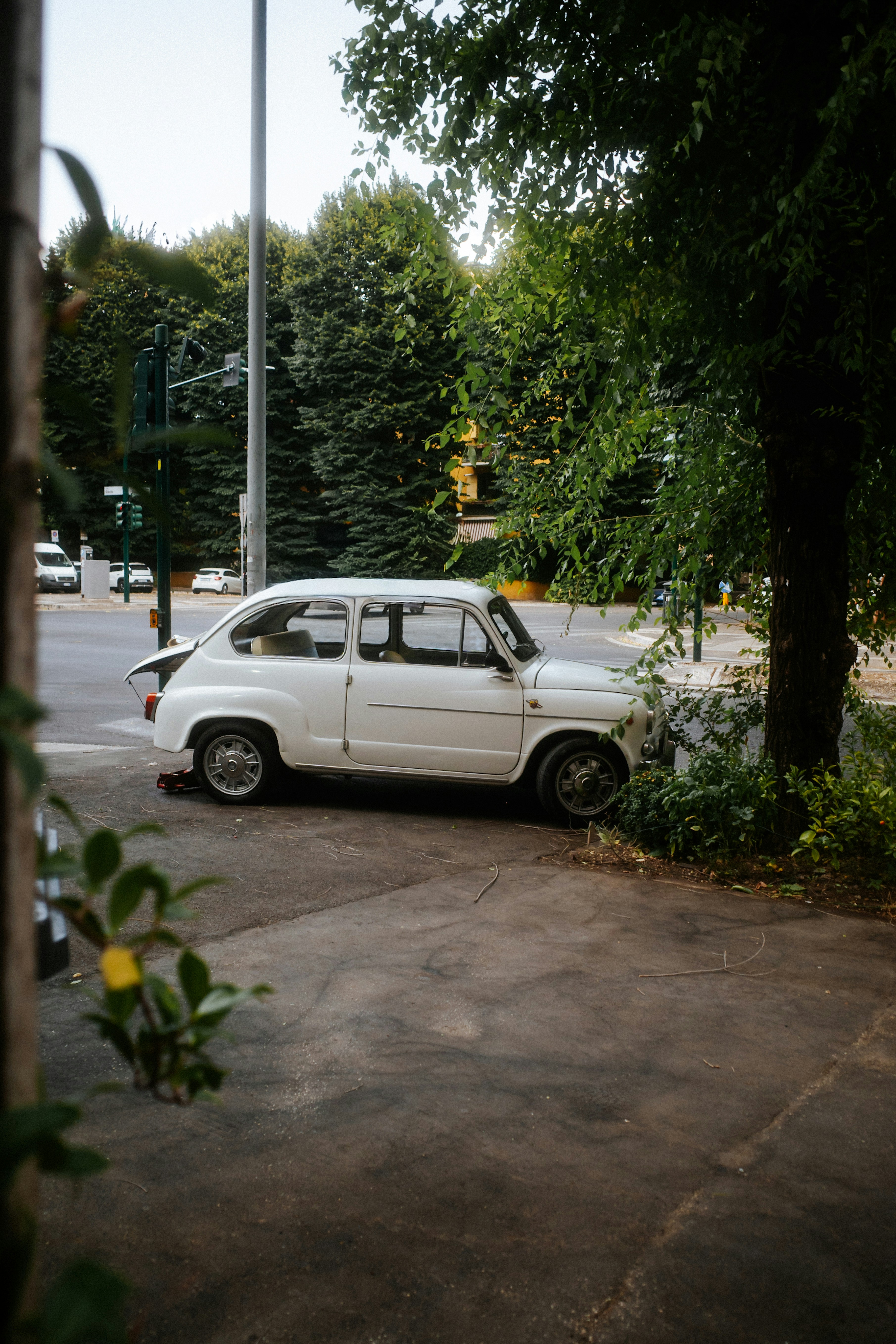 White vintage car tucked beside a leafy urban curb