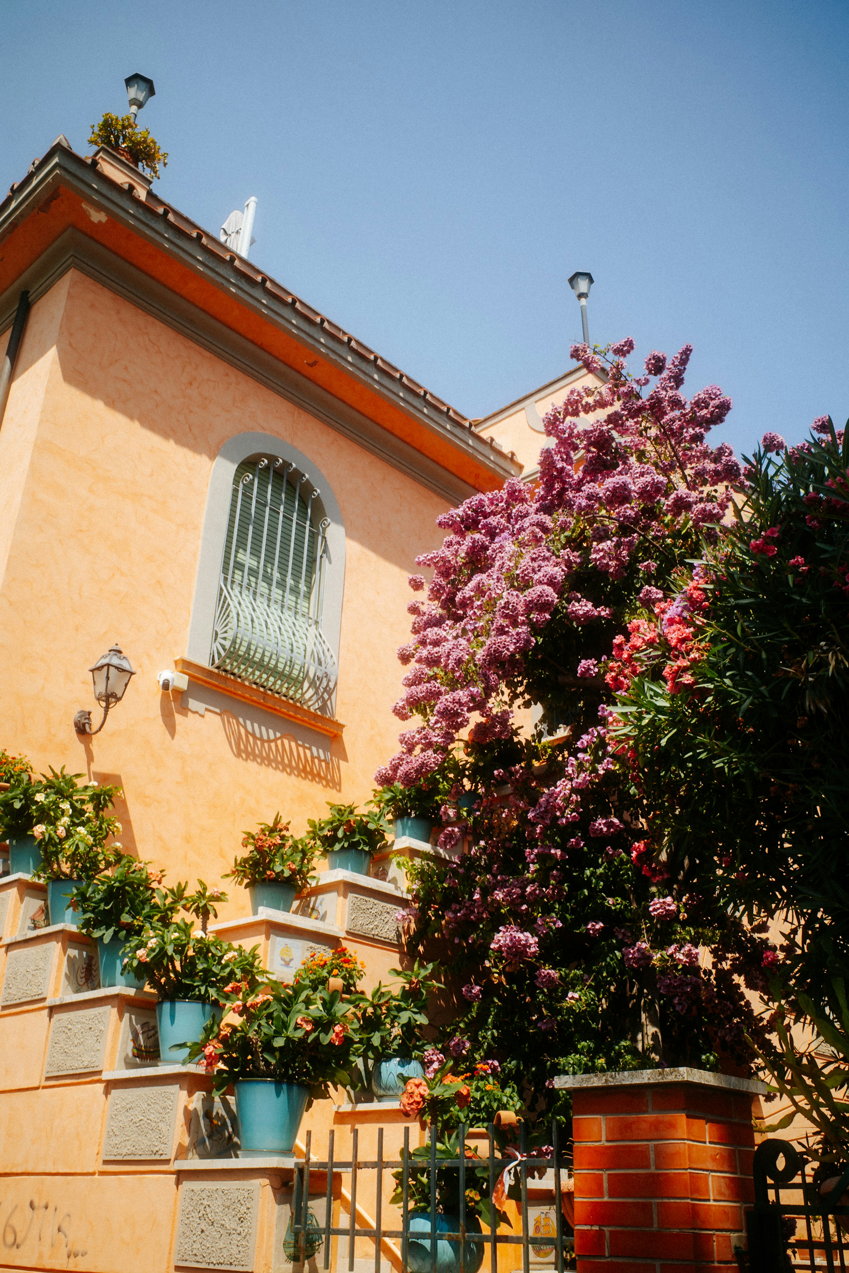 Sunlit Orange Facade and Blooming Terrace