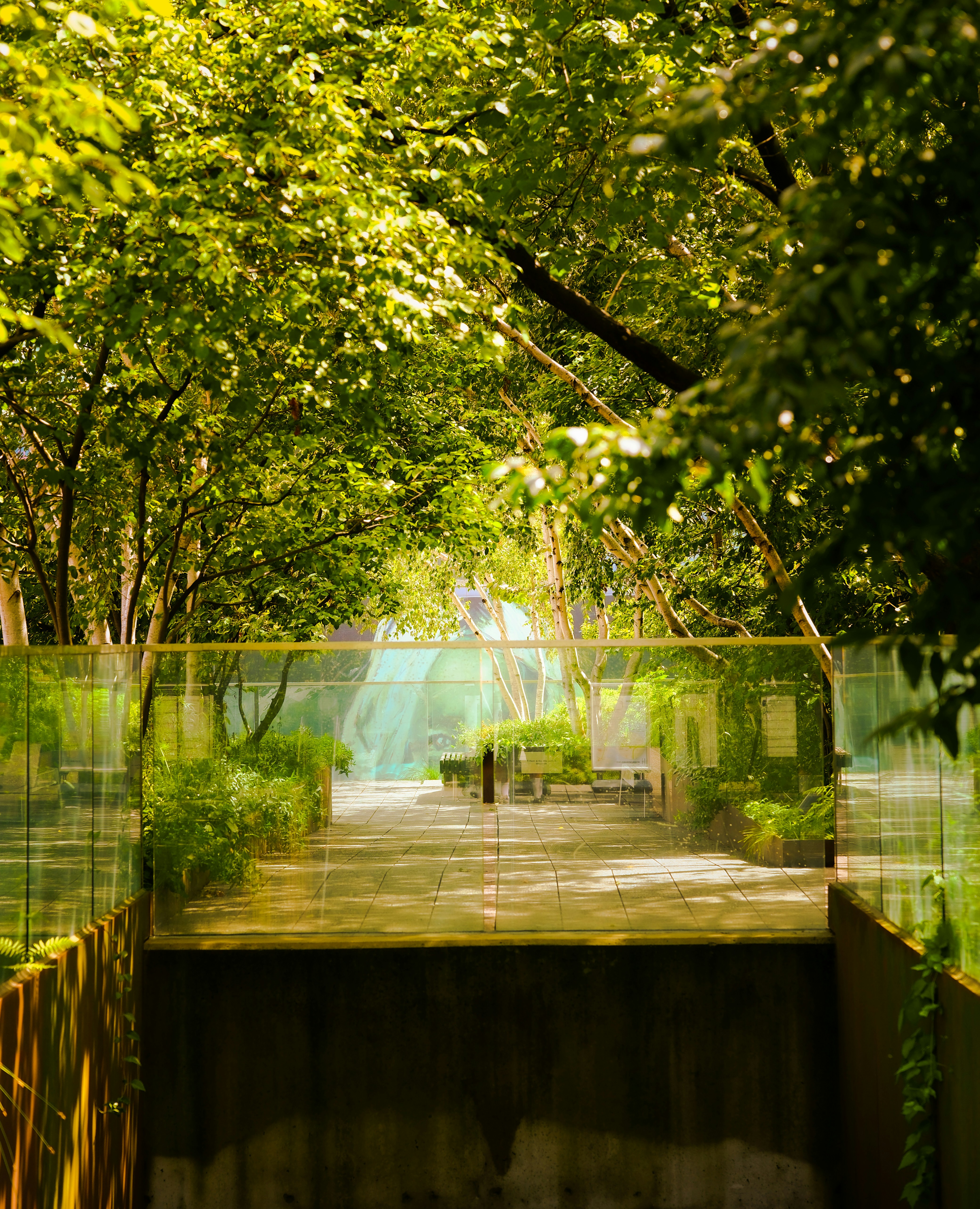 Green Corridor Beyond the Glass Wall