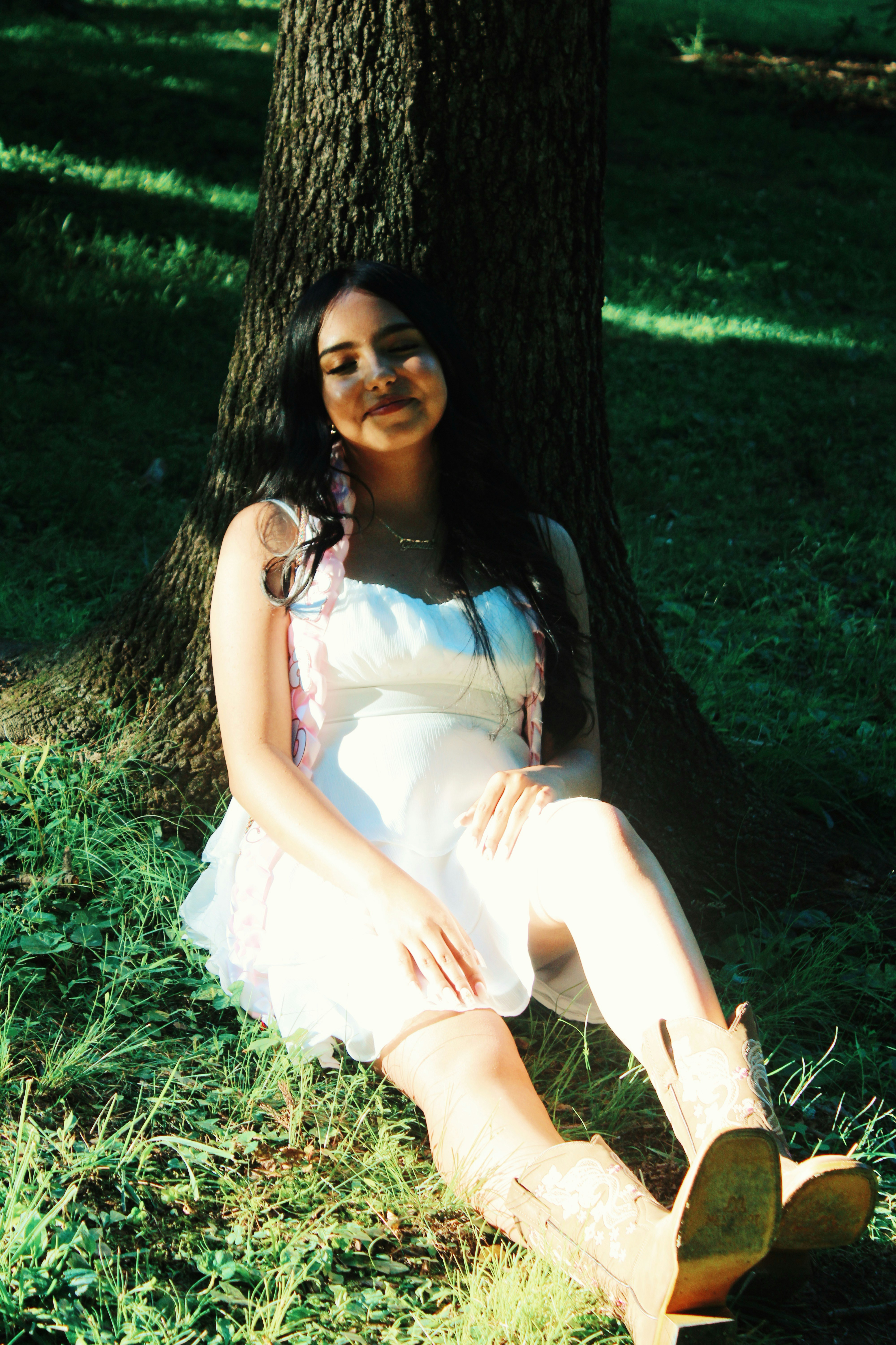 Sunlit Reverie under the Oak