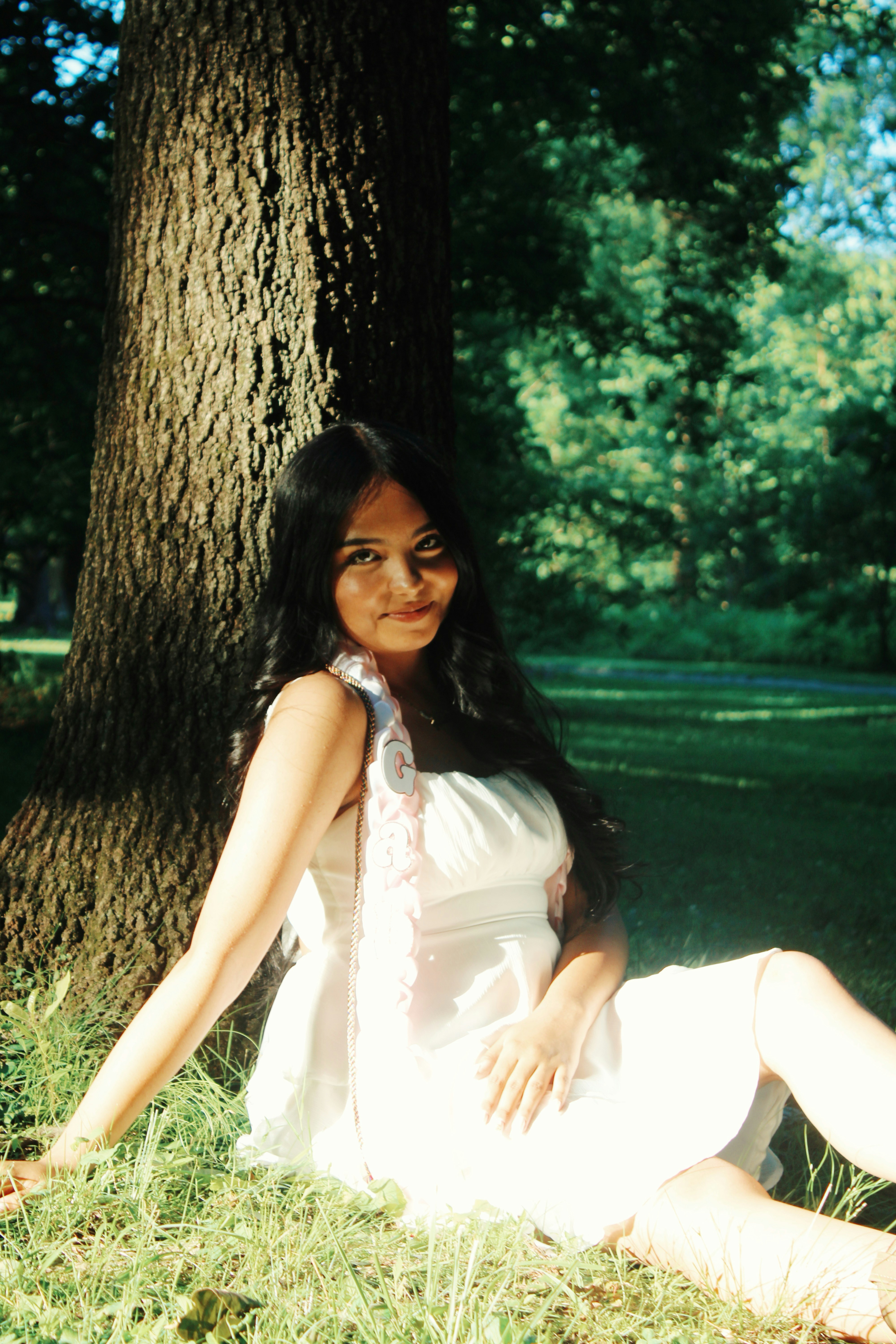 Sunlit Reverie by the Tree