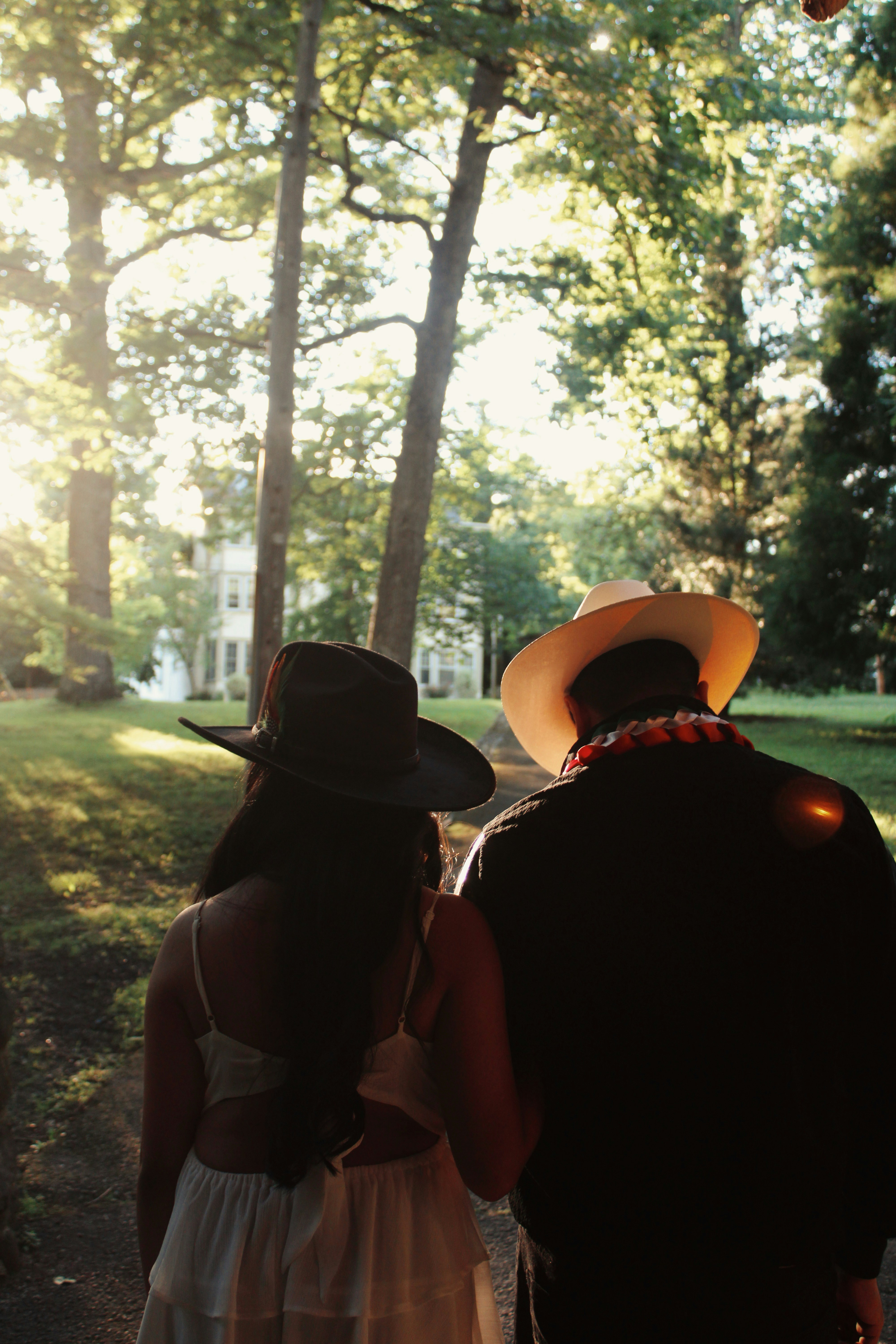 Sunlit Partners: A Quiet Evening Walk in the Park