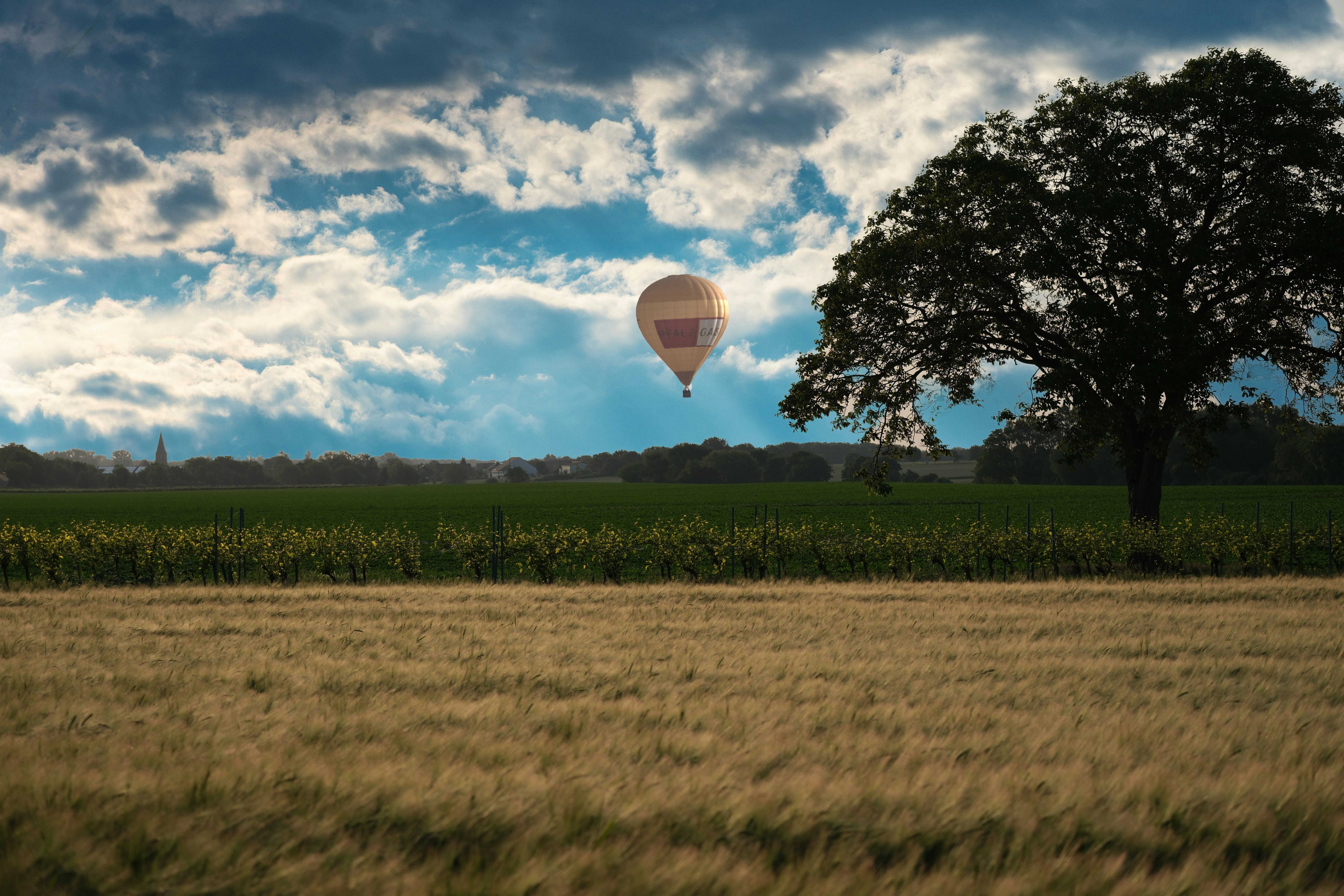 A lone striped hot air balloon glides above a rural field with a scattered tree and a dramatic blue sky, highlighting a quiet landscape scene.