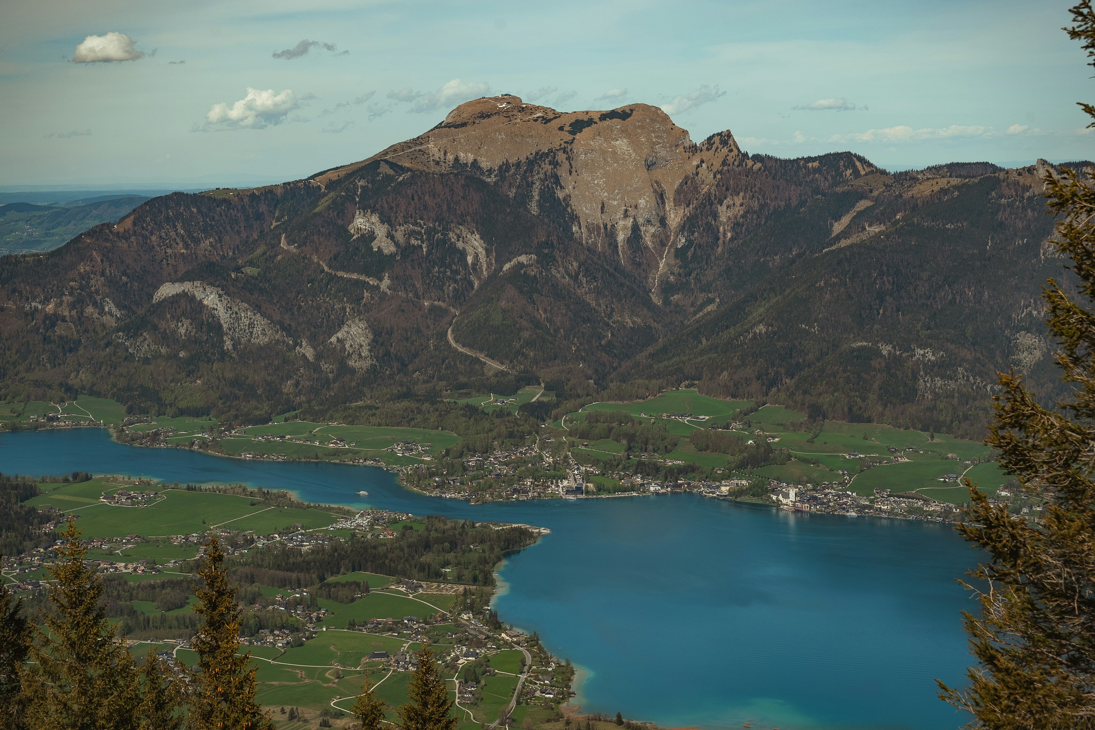 Emerald Lake Framed by Pine Peaks