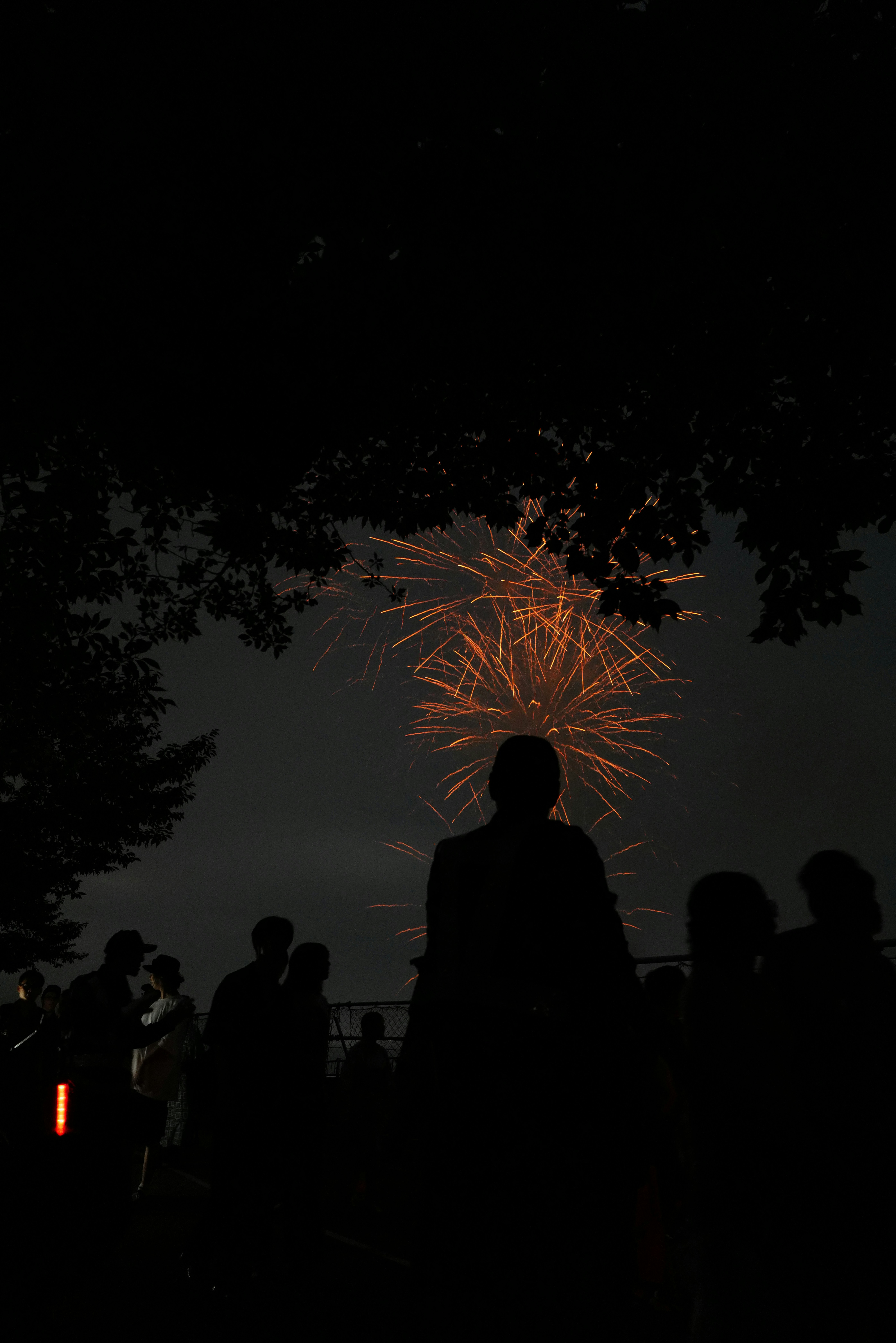 Silhouette at Fireworks: A Crowd Gathers Under Nightfall