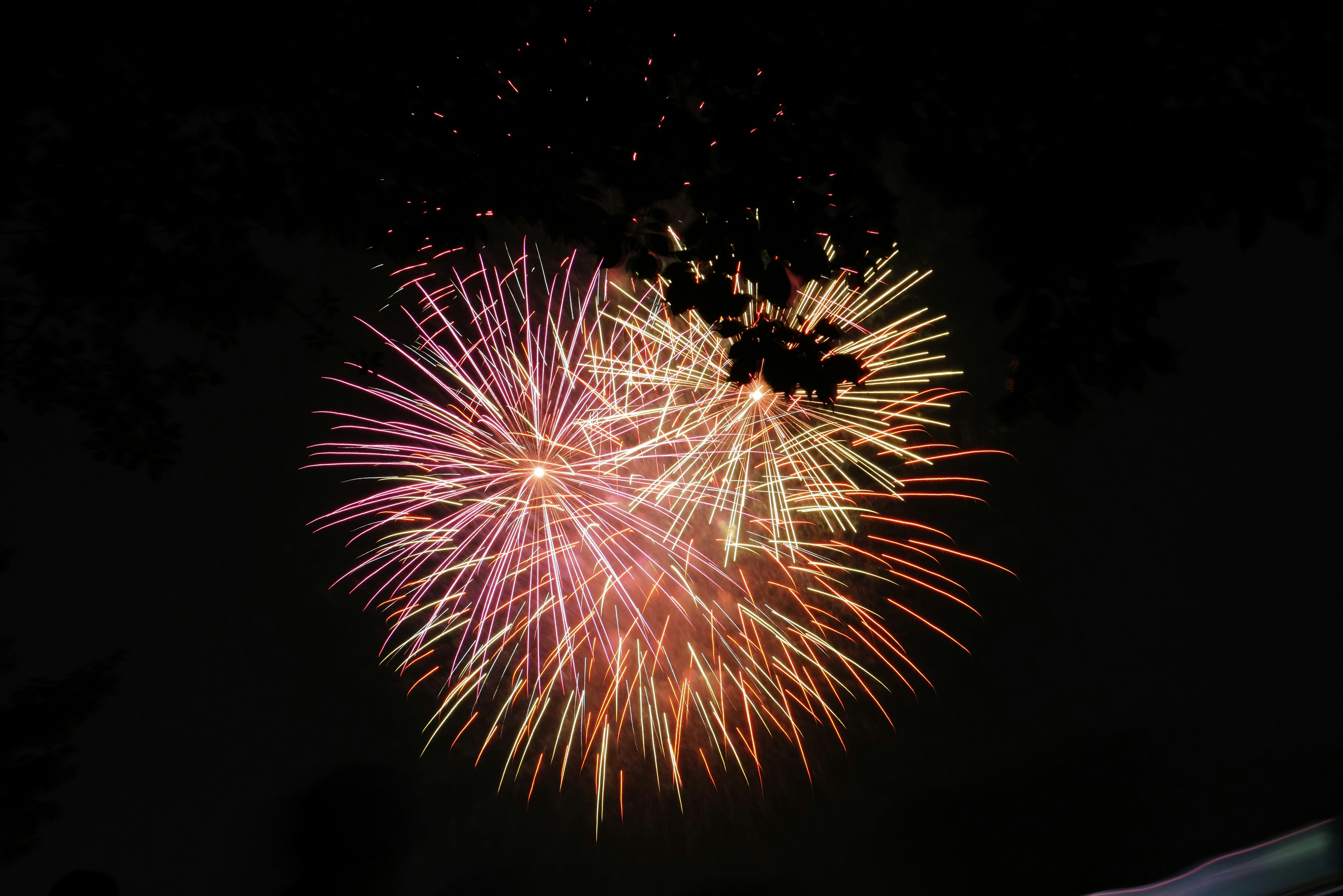 Burst of Nightlife: Fireworks Crown the Dark Sky