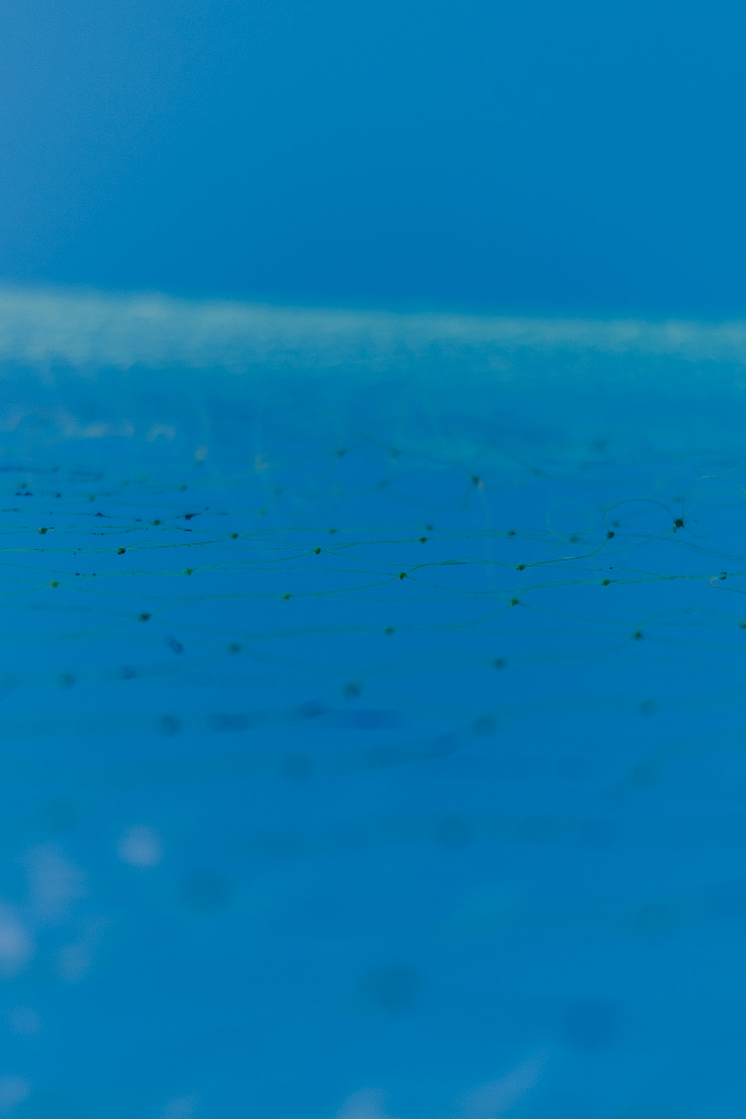 Blue Horizon Grid: Submerged Mesh Across a Quiet Ocean Surface