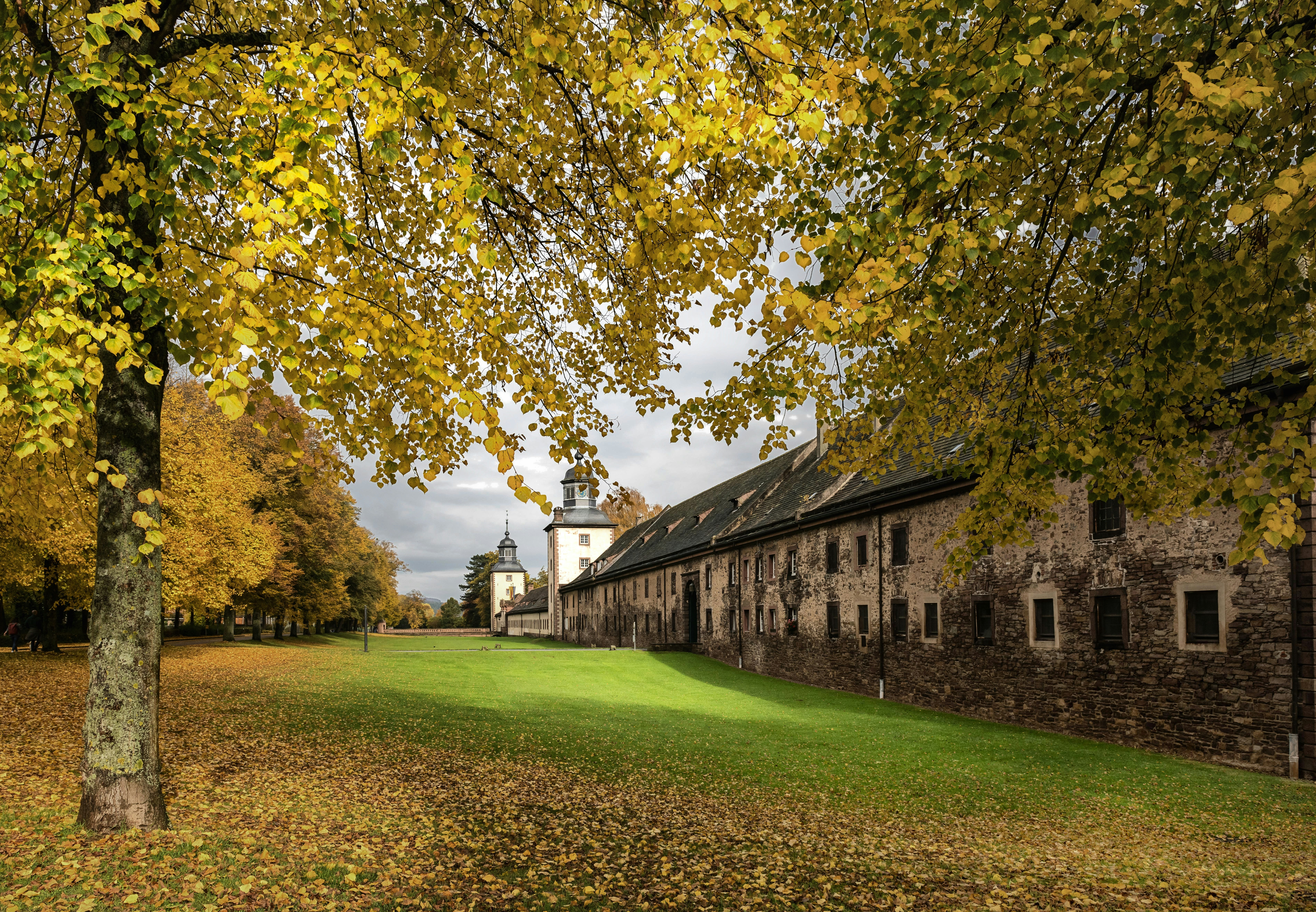 Autumn Courtyard: Golden Leaves Framing a Quiet Monastic Wall