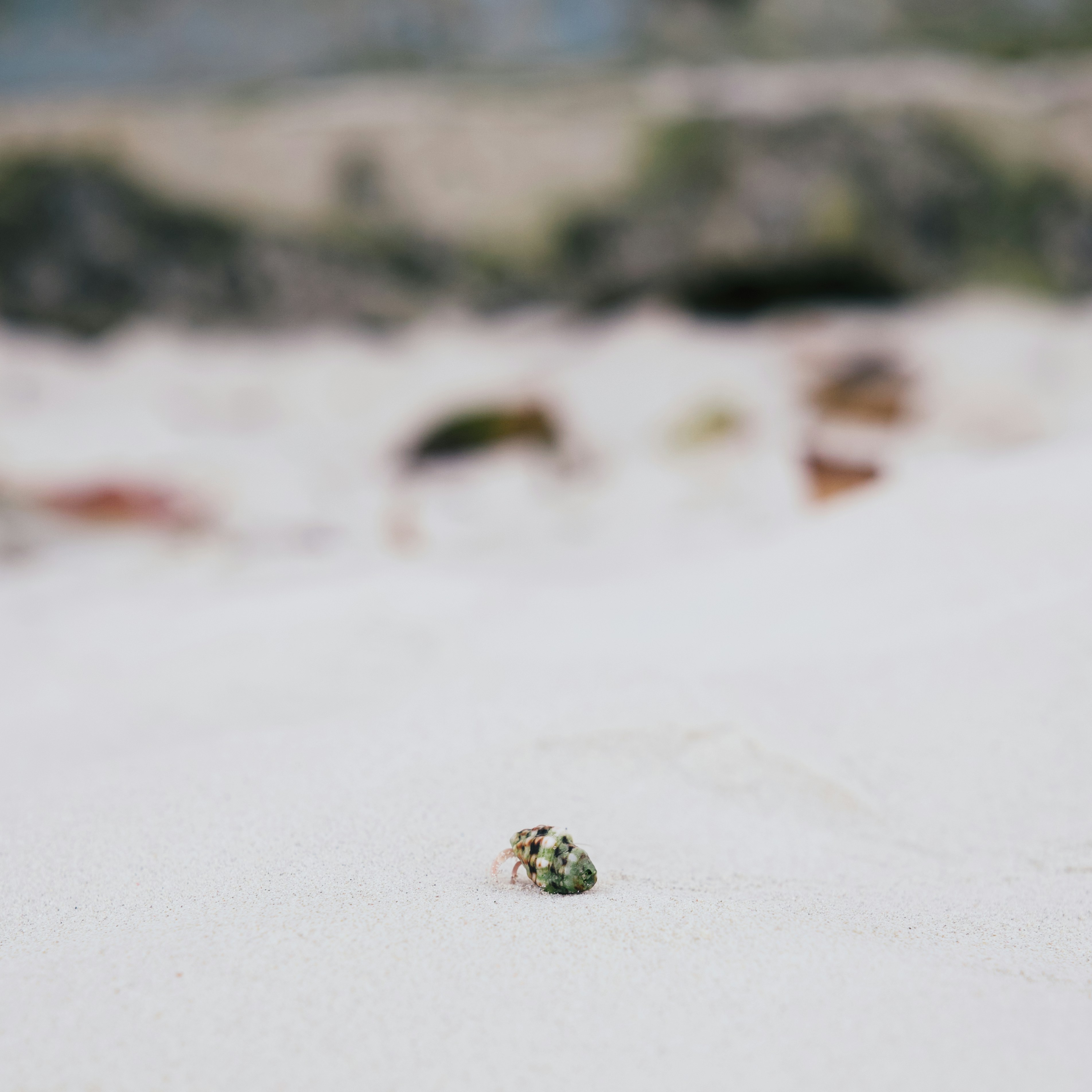 Pebble on White Sands: A Tiny Beacon Against a Blurred Shore
