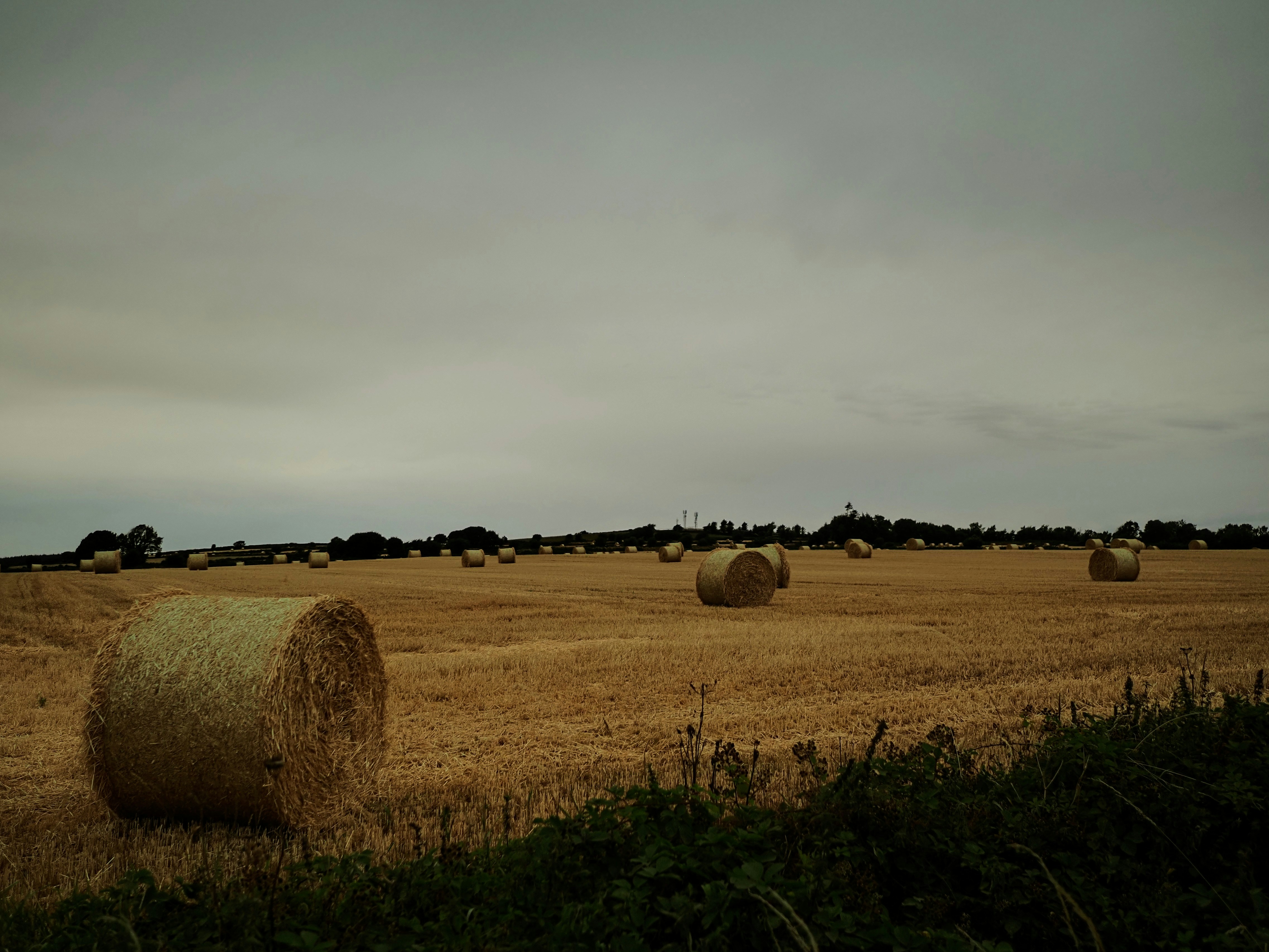 Golden Fields: Hay Bales Under Brooding Sky