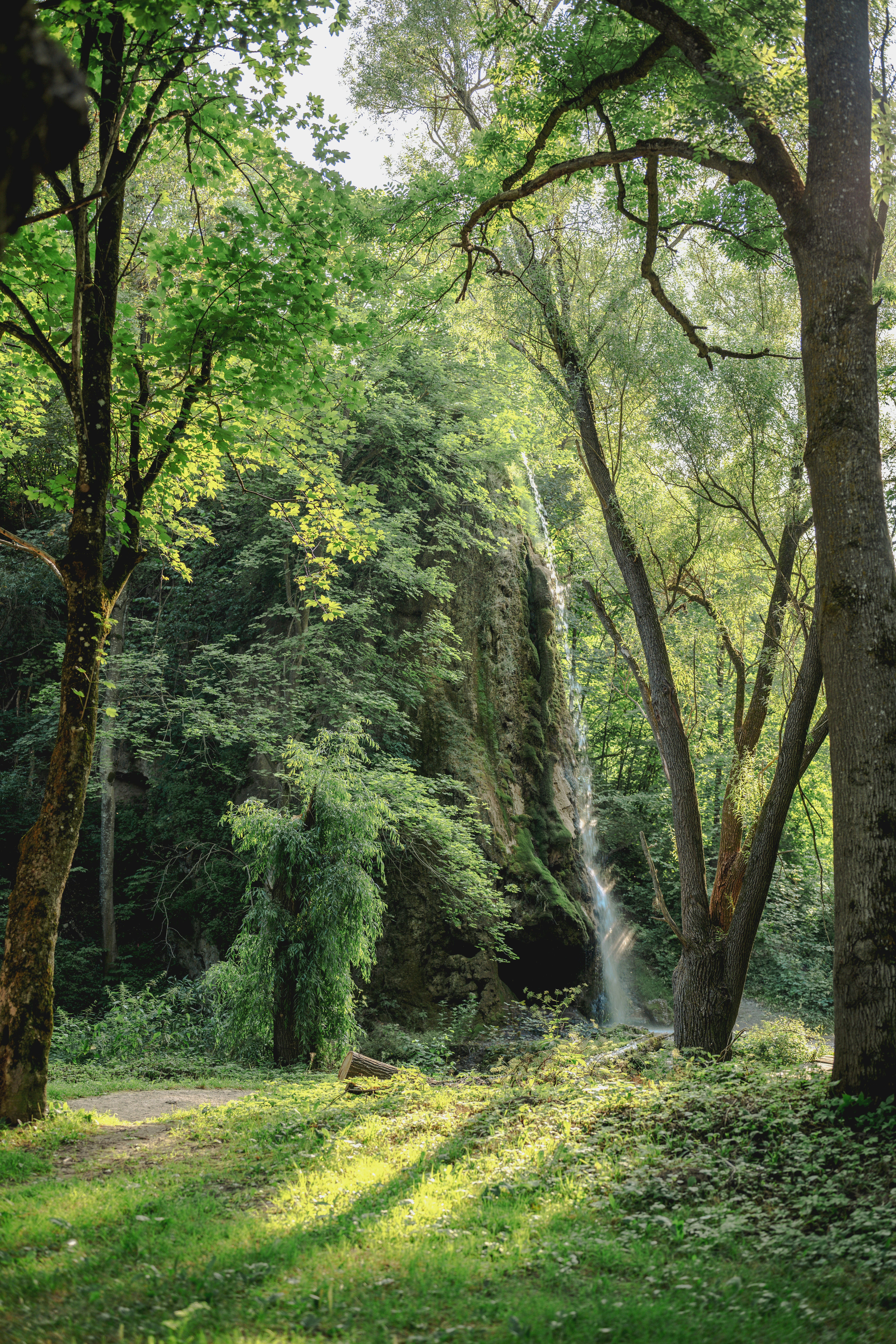 Whispering Cascade Through Verdant Arches