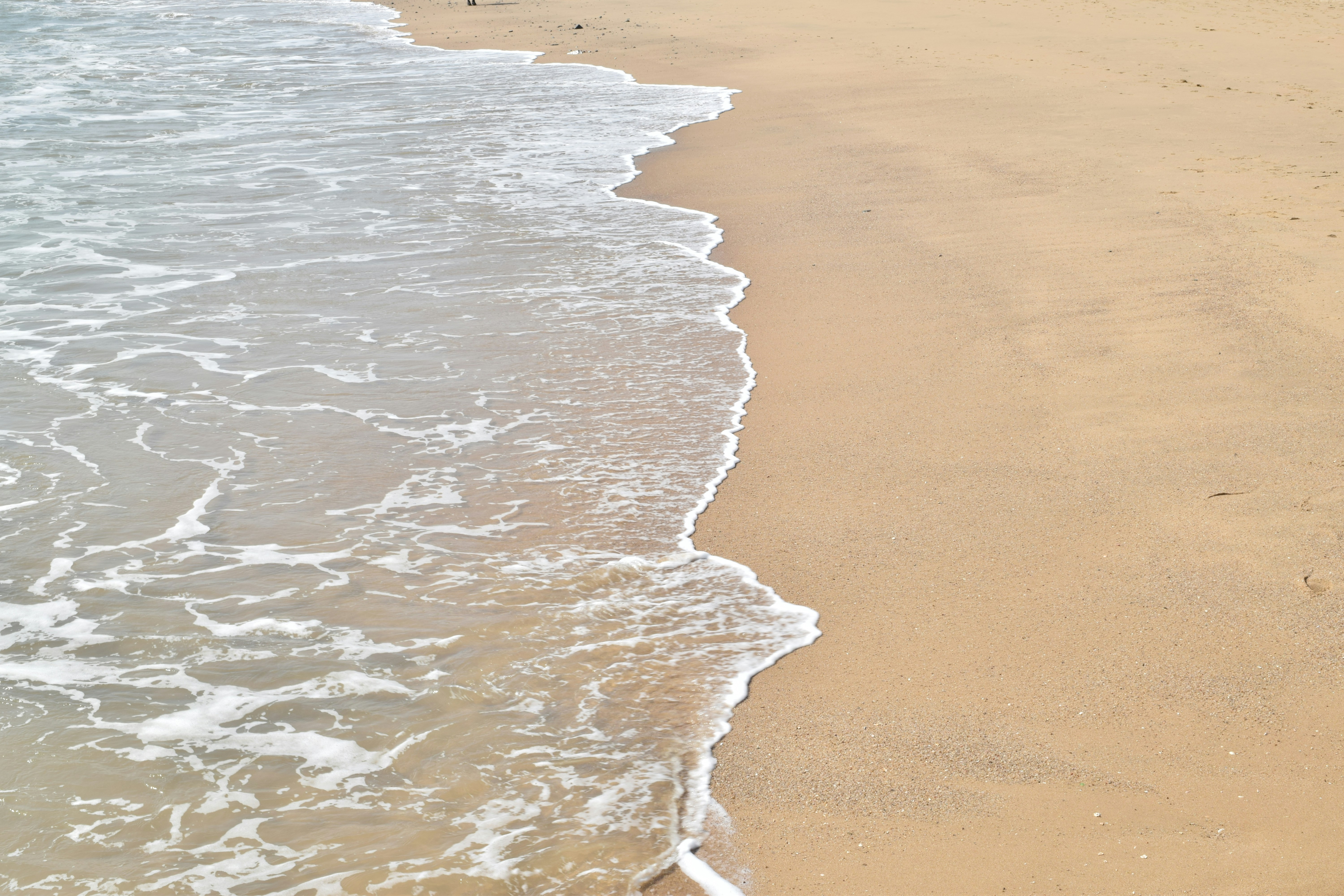 Edge Lines: Tide Tracing a Quiet Shore