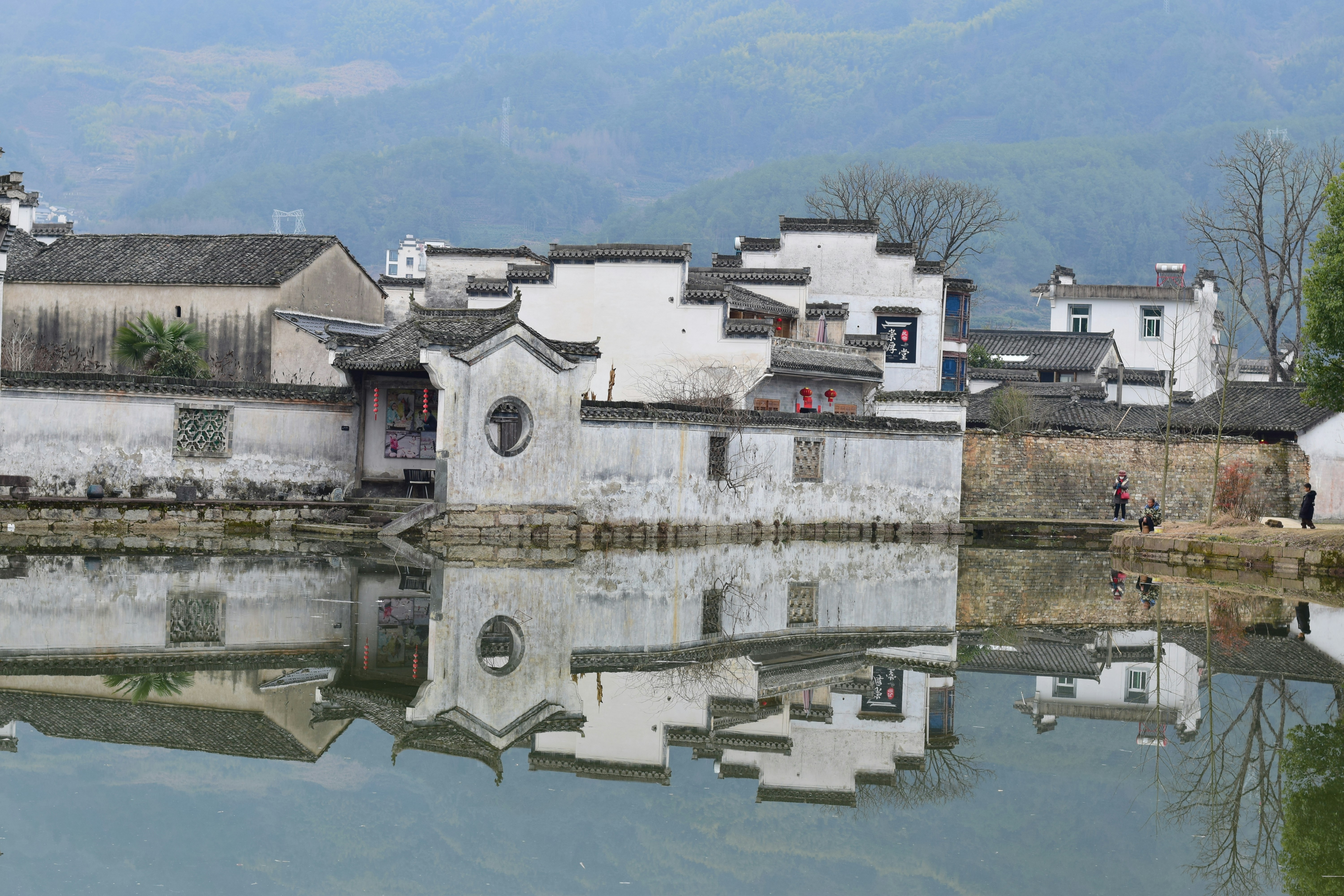 Reflected Village: White-walled houses lining a tranquil canal