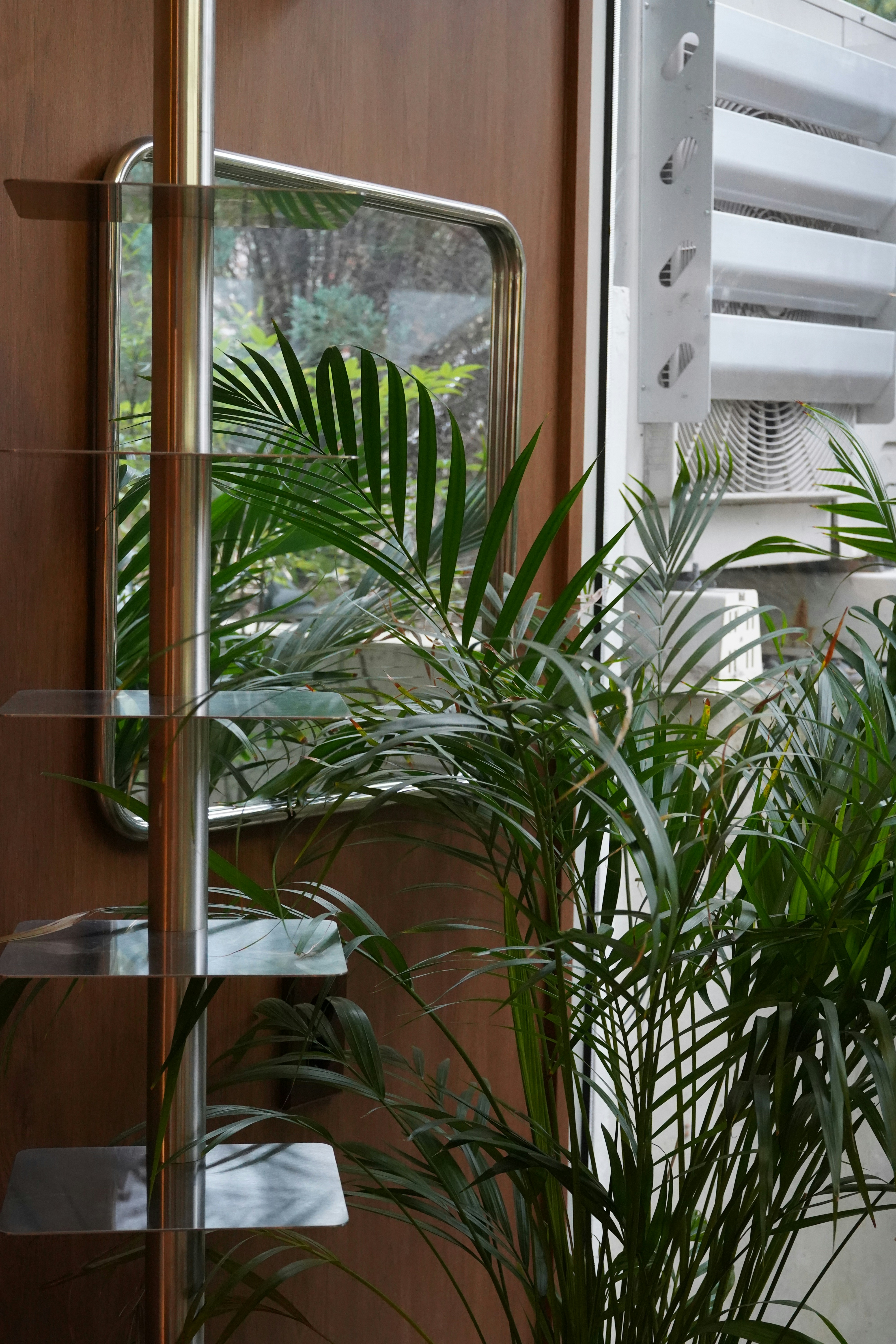 Indoor scene featuring lush green palm plants growing by a wooden door and a white vent; an air of calm in a small interior space.
