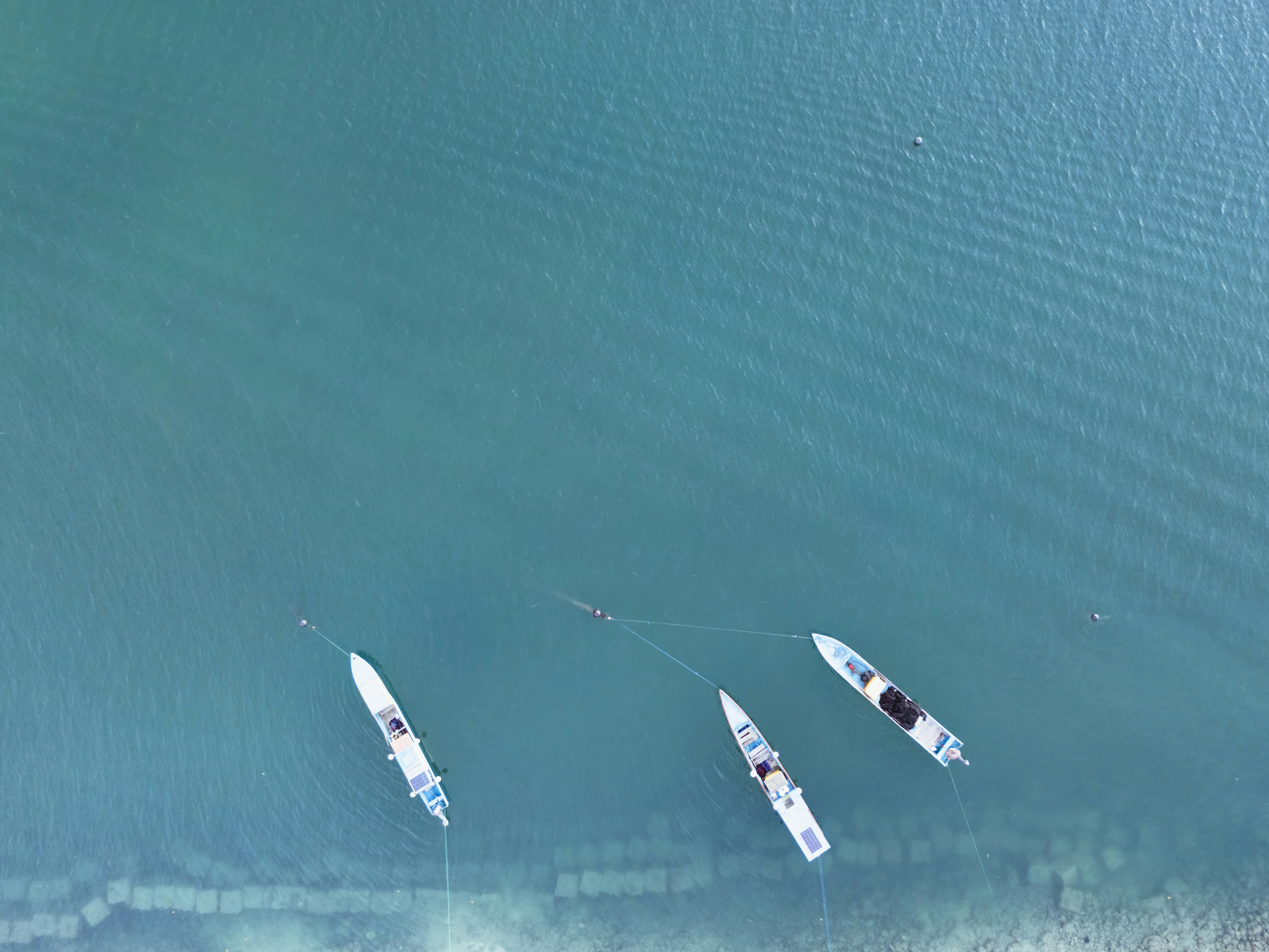 Three White Boats Draped on Turquoise Stillness