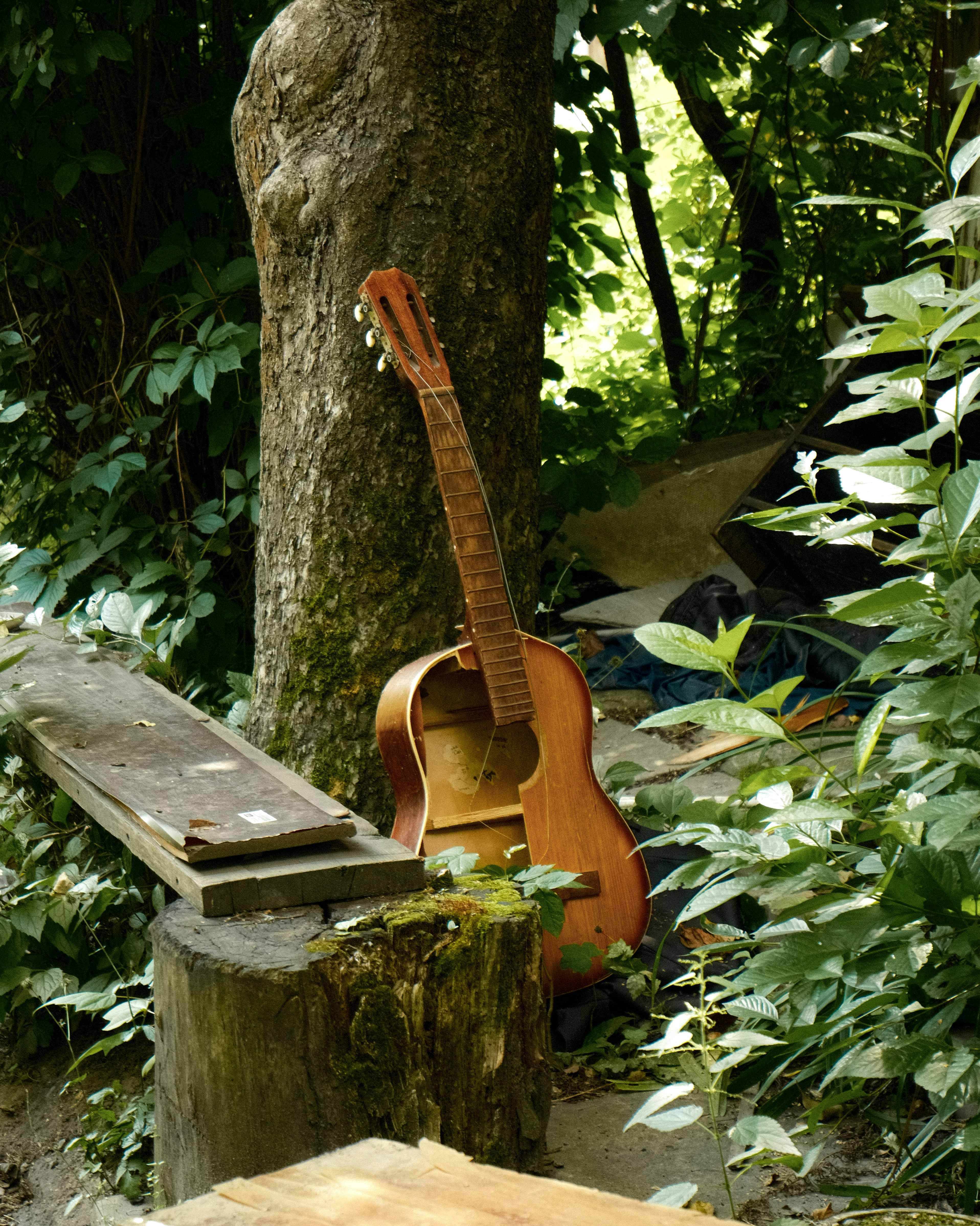 Rusty Solace: An Acoustic Leaning Against Nature