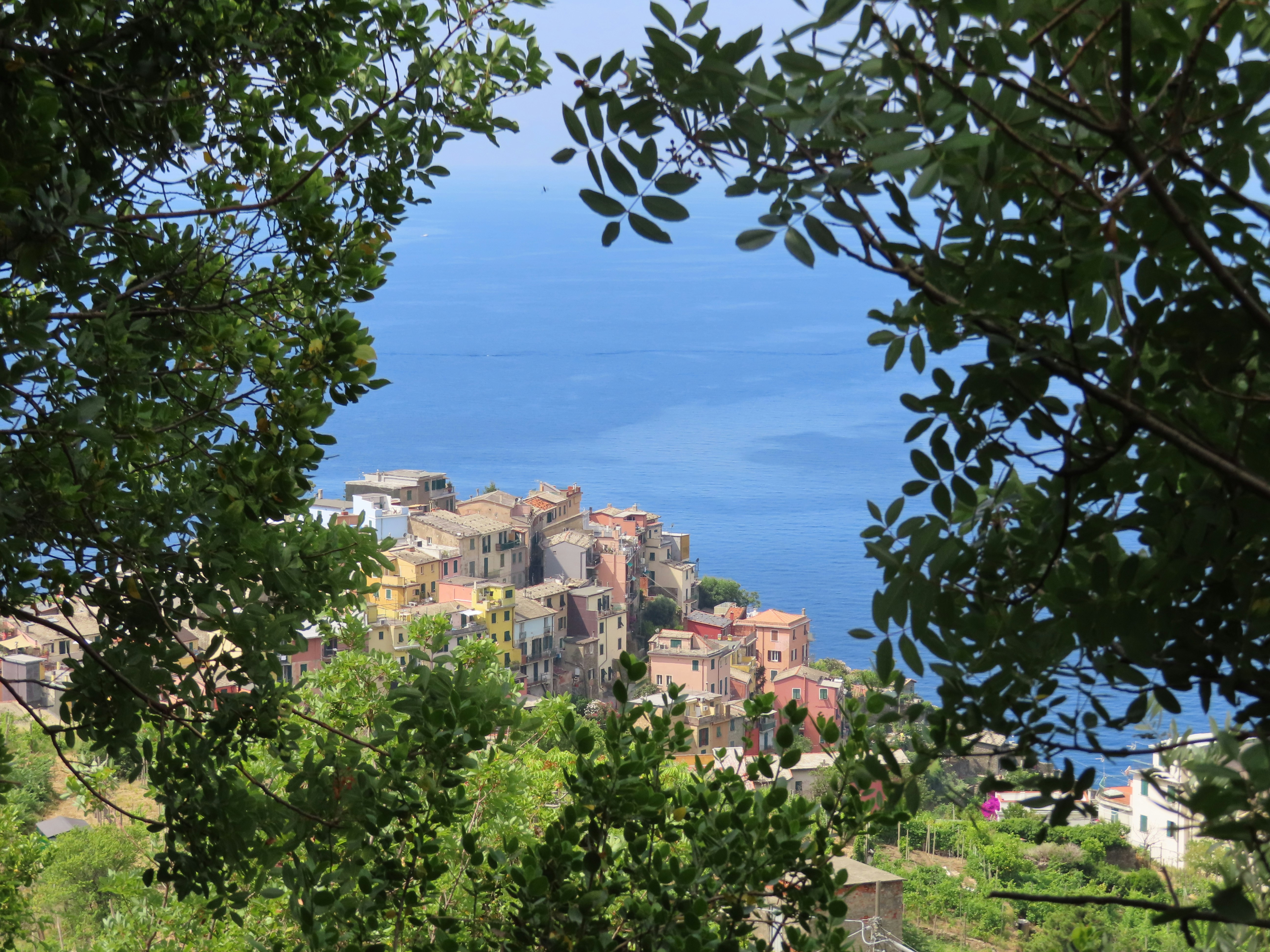 Colorful cliffside village framed by sea and foliage