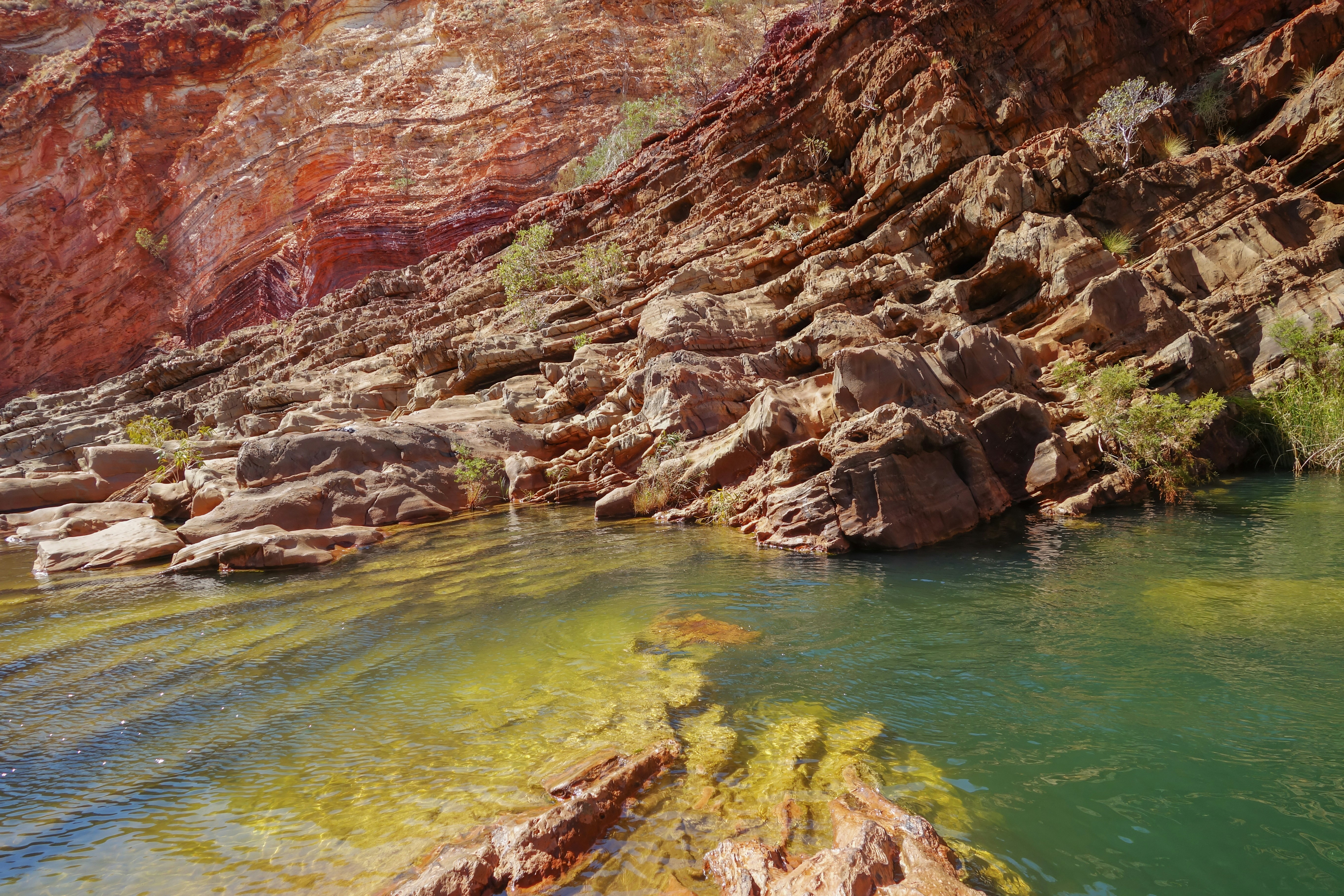 Vibrant Red Rock and Tinted River: A Canyon’s Quiet Palette