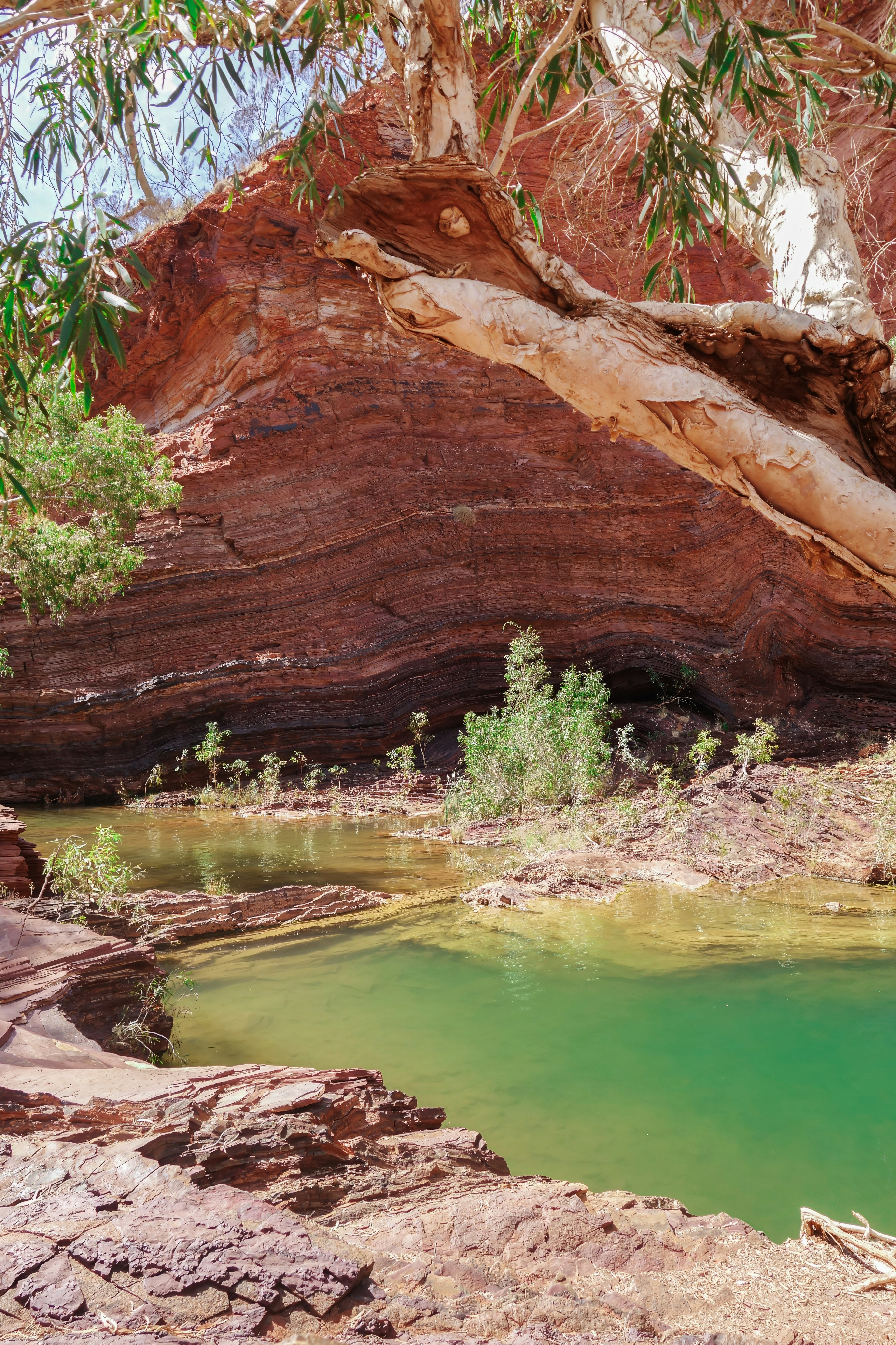 Verdant Pool Beneath a Sunlit Canyon Crest