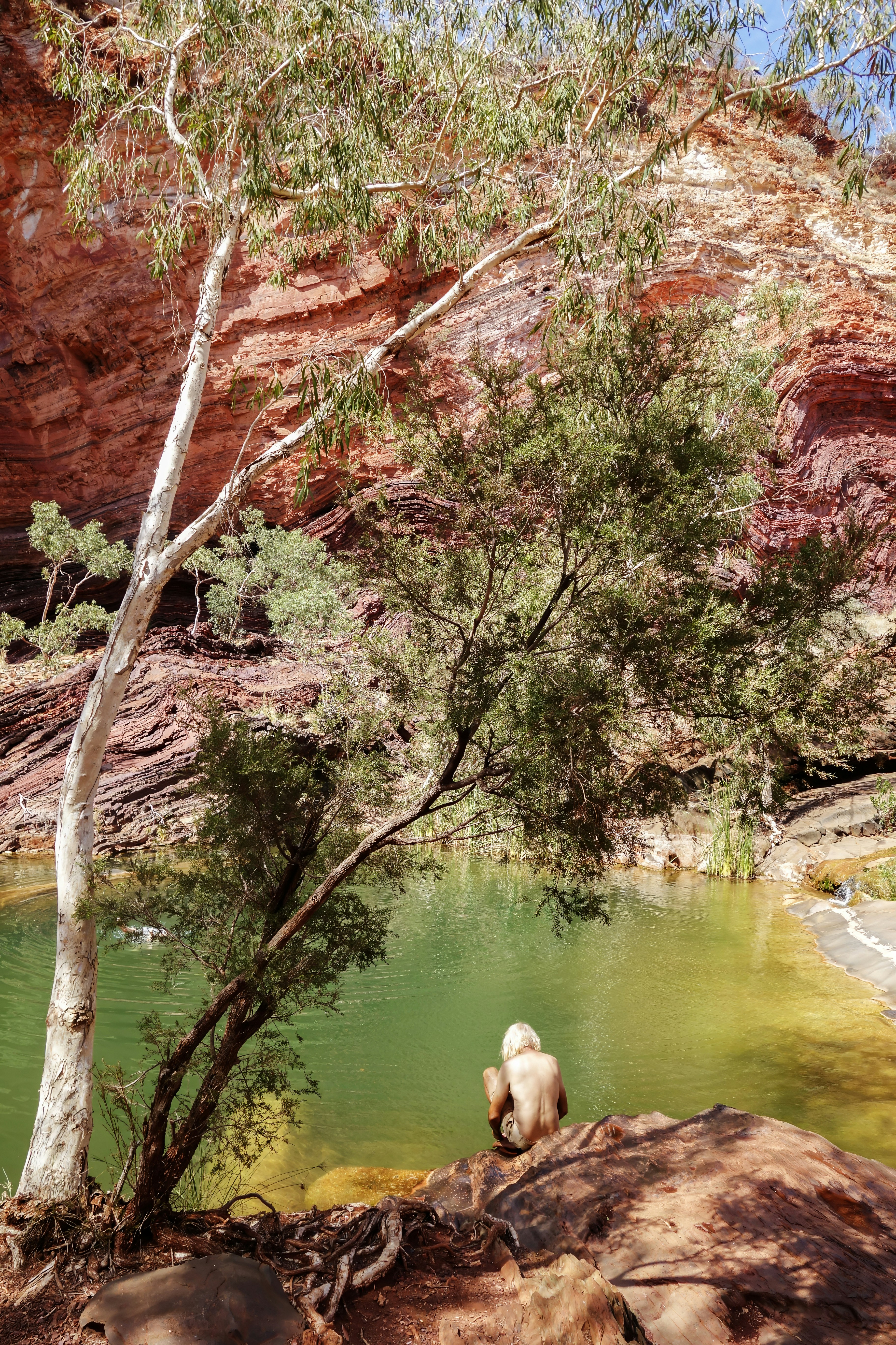 Riverside Recluse: A Solitary Figure Amid Red Canyon and Green Echoes