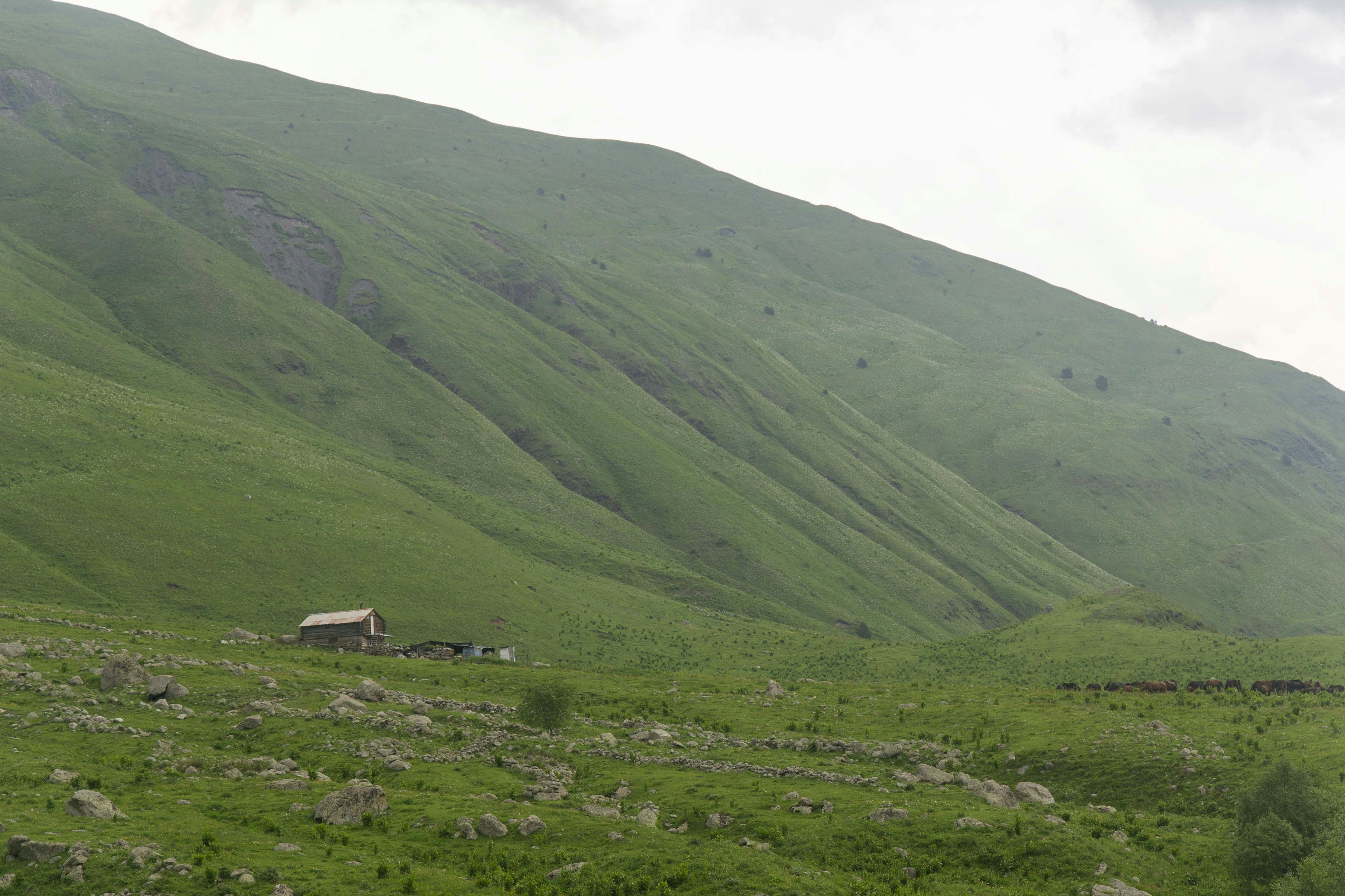 Pastoral Ledge: A Lone Stone Cottage Nestled on the Green Slopes