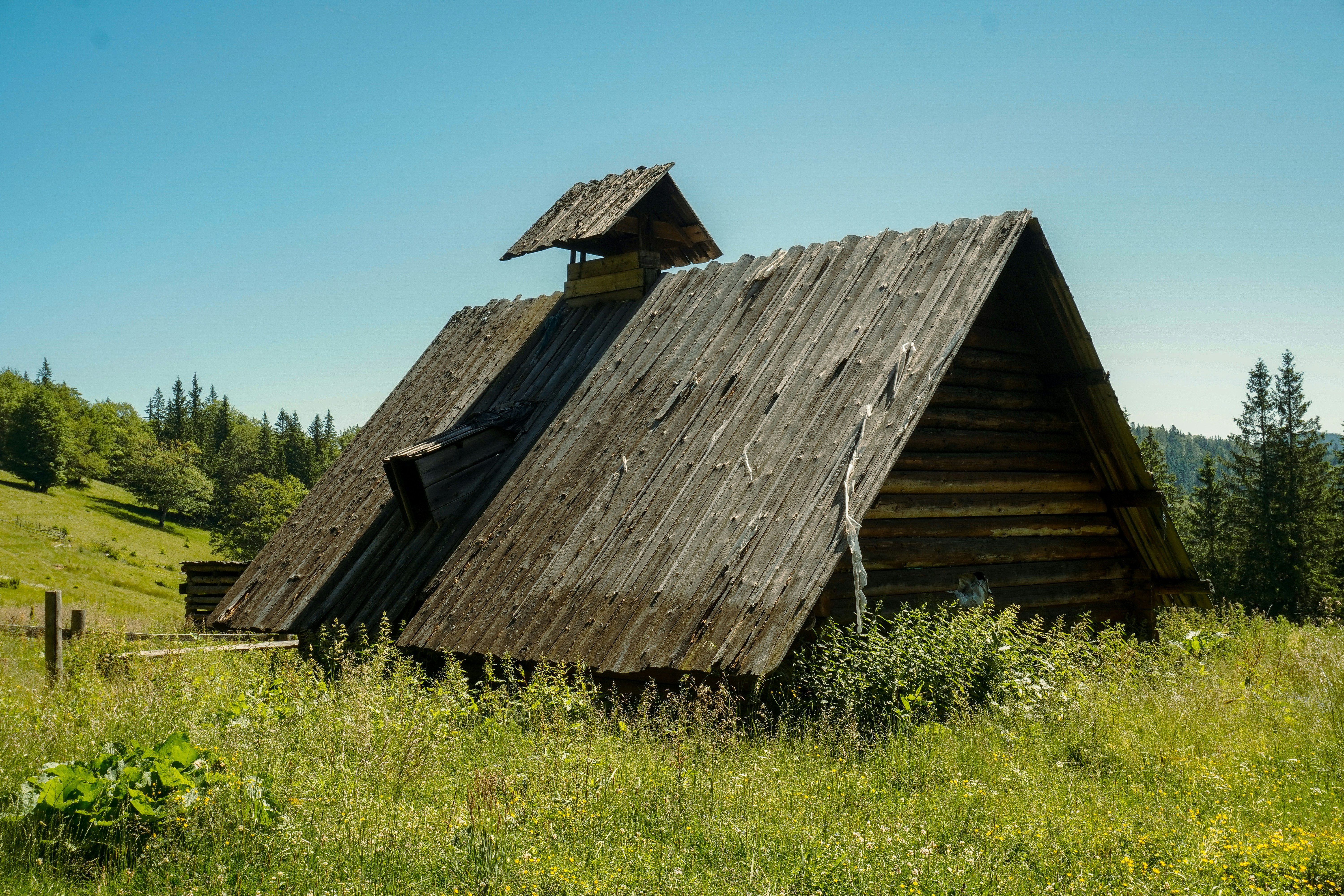 Weathered A-frame Hideaway in a Meadow
