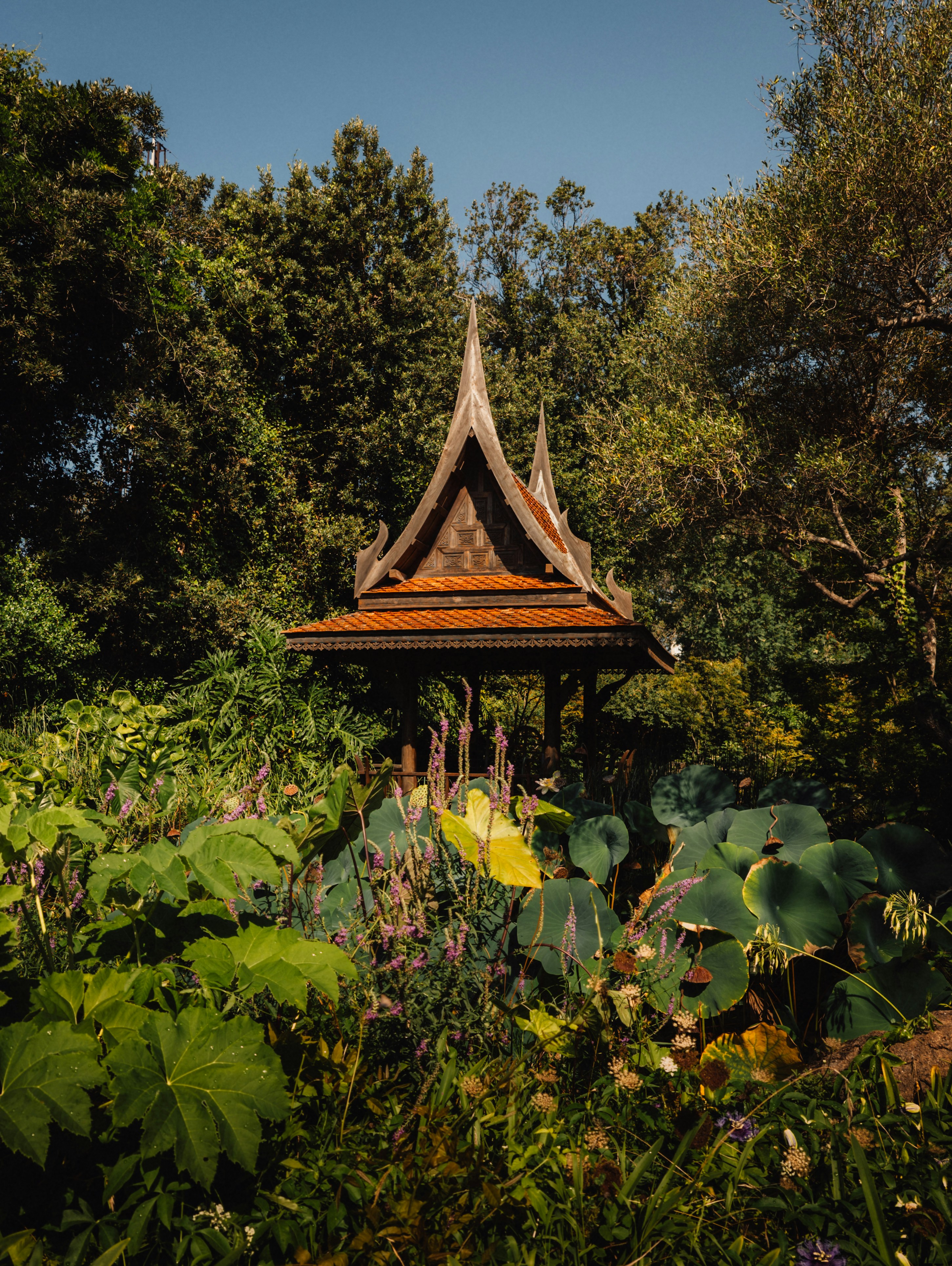 Sunlit Thai Pavilion Rising from a lush garden