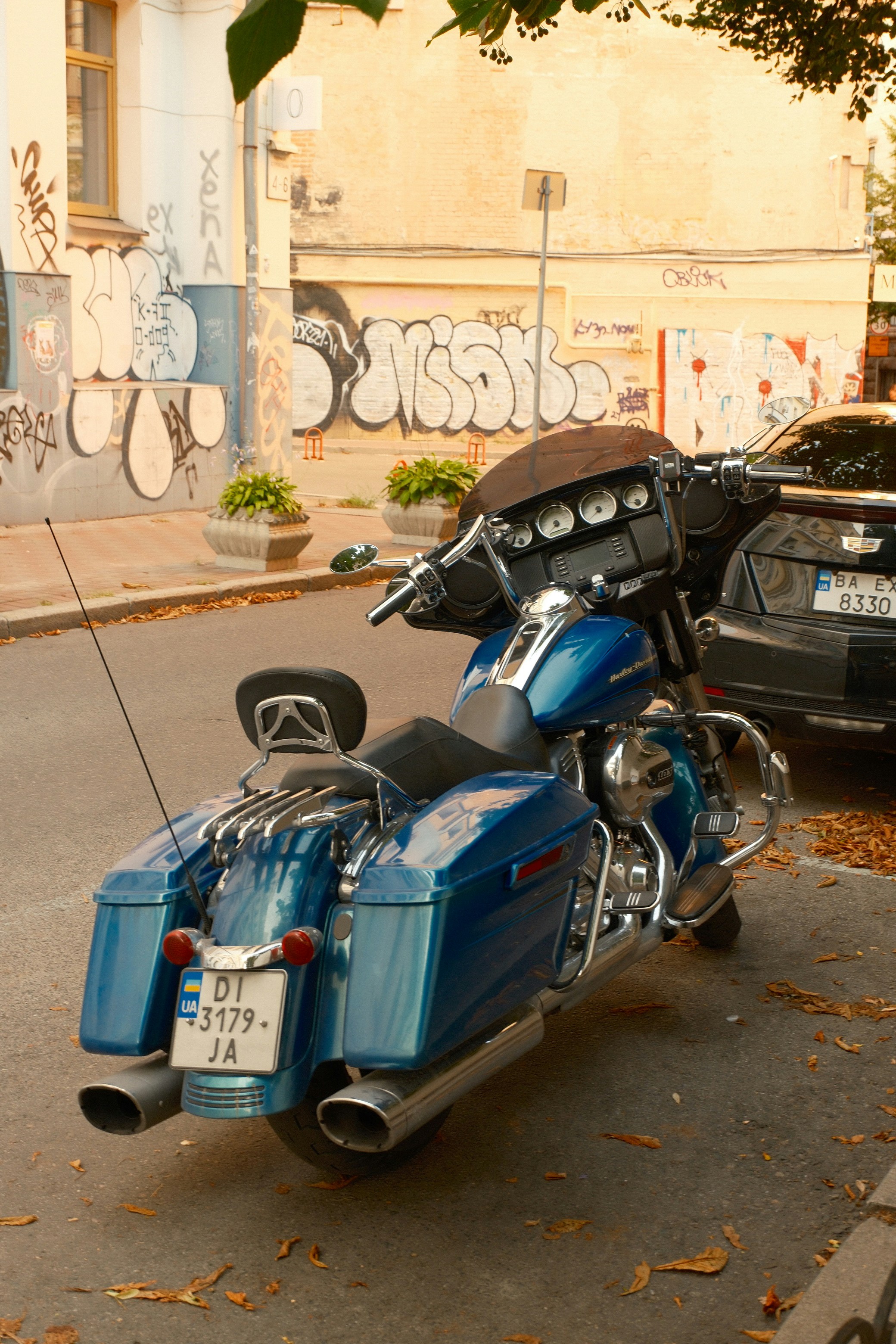 Blue Thunder by the Curb: A Harley on Calm Street