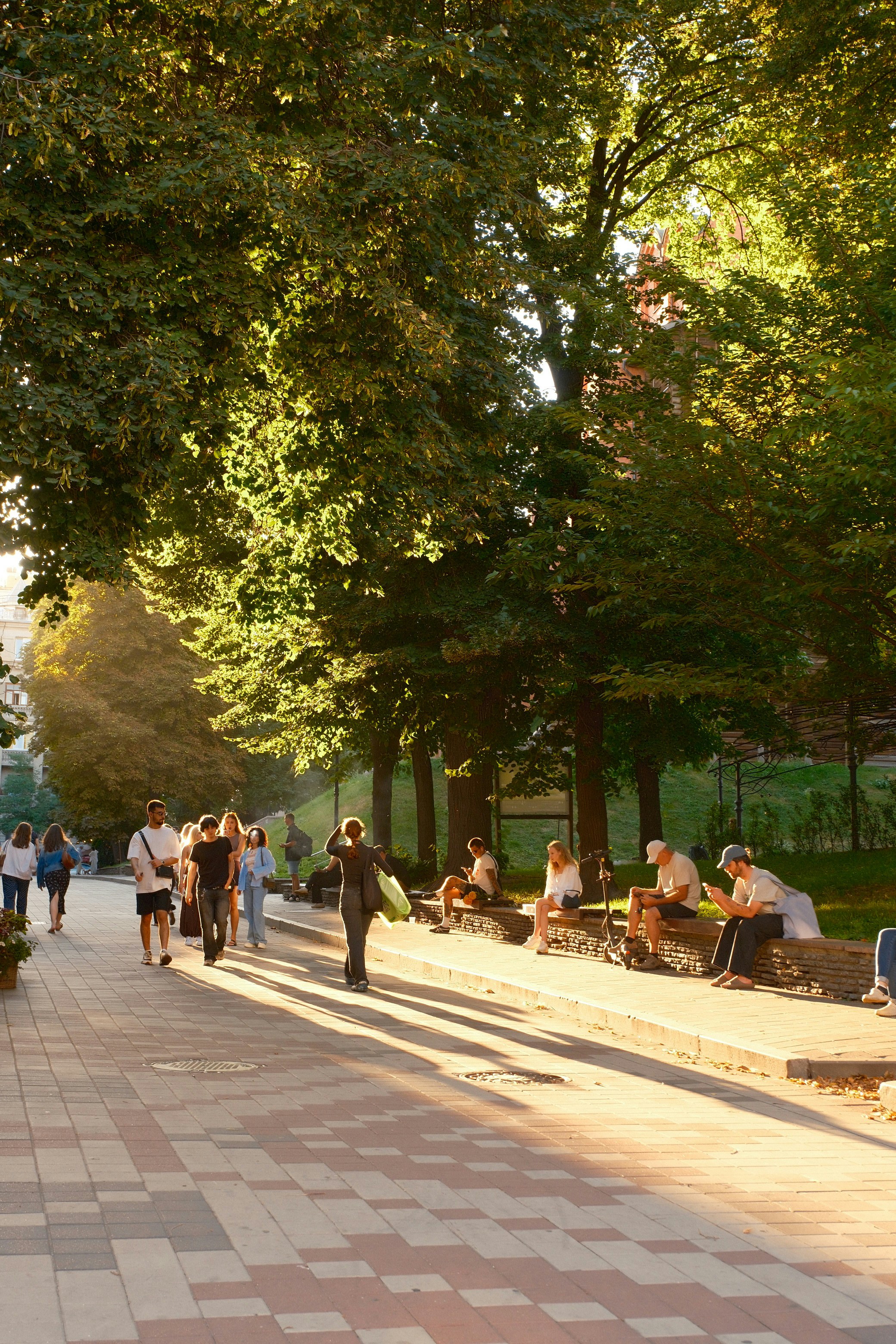 Sunlit stroll in a shaded city park