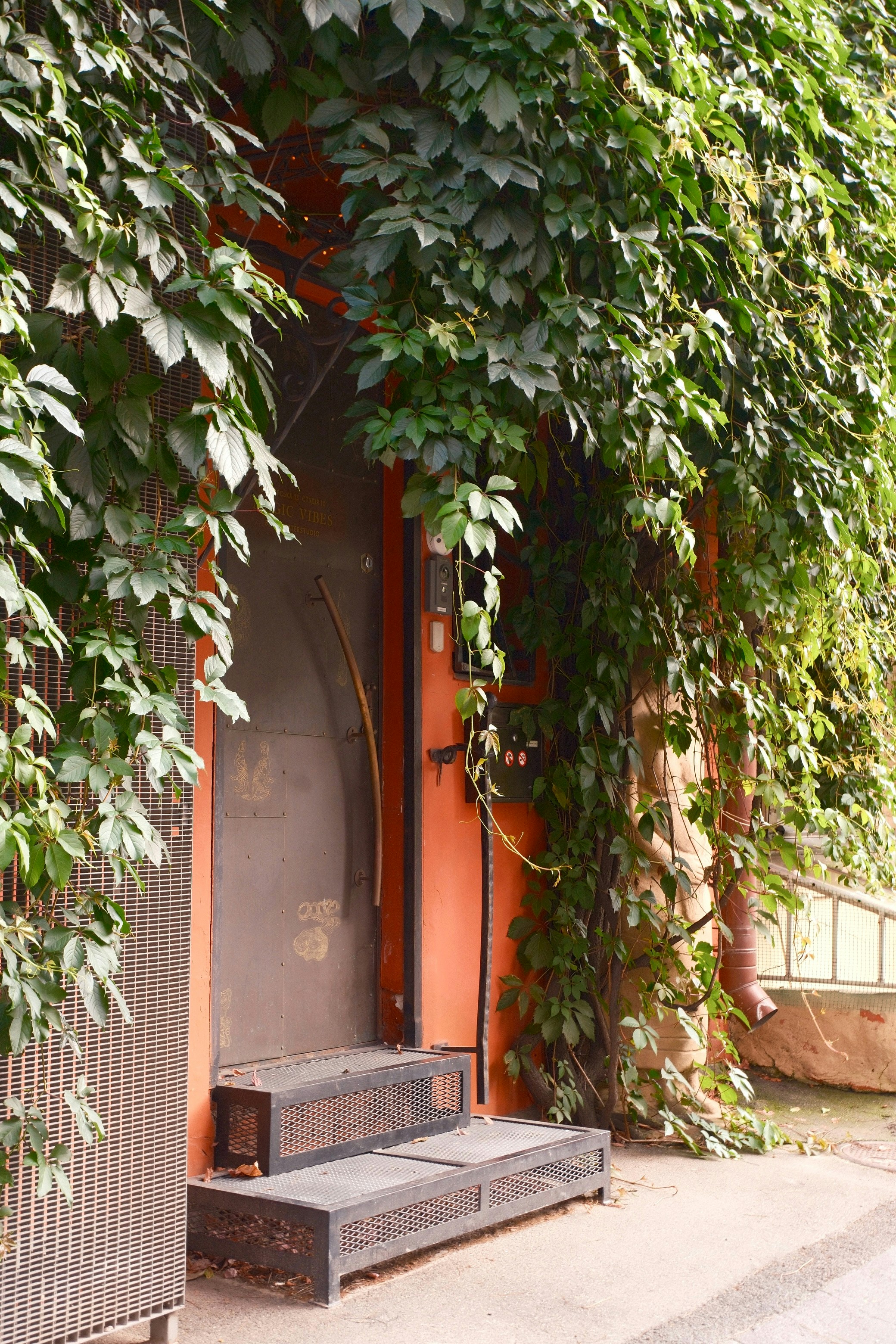 Hidden Entrance: Ivy-Clad Doorway in a Quiet Urban Stairwell