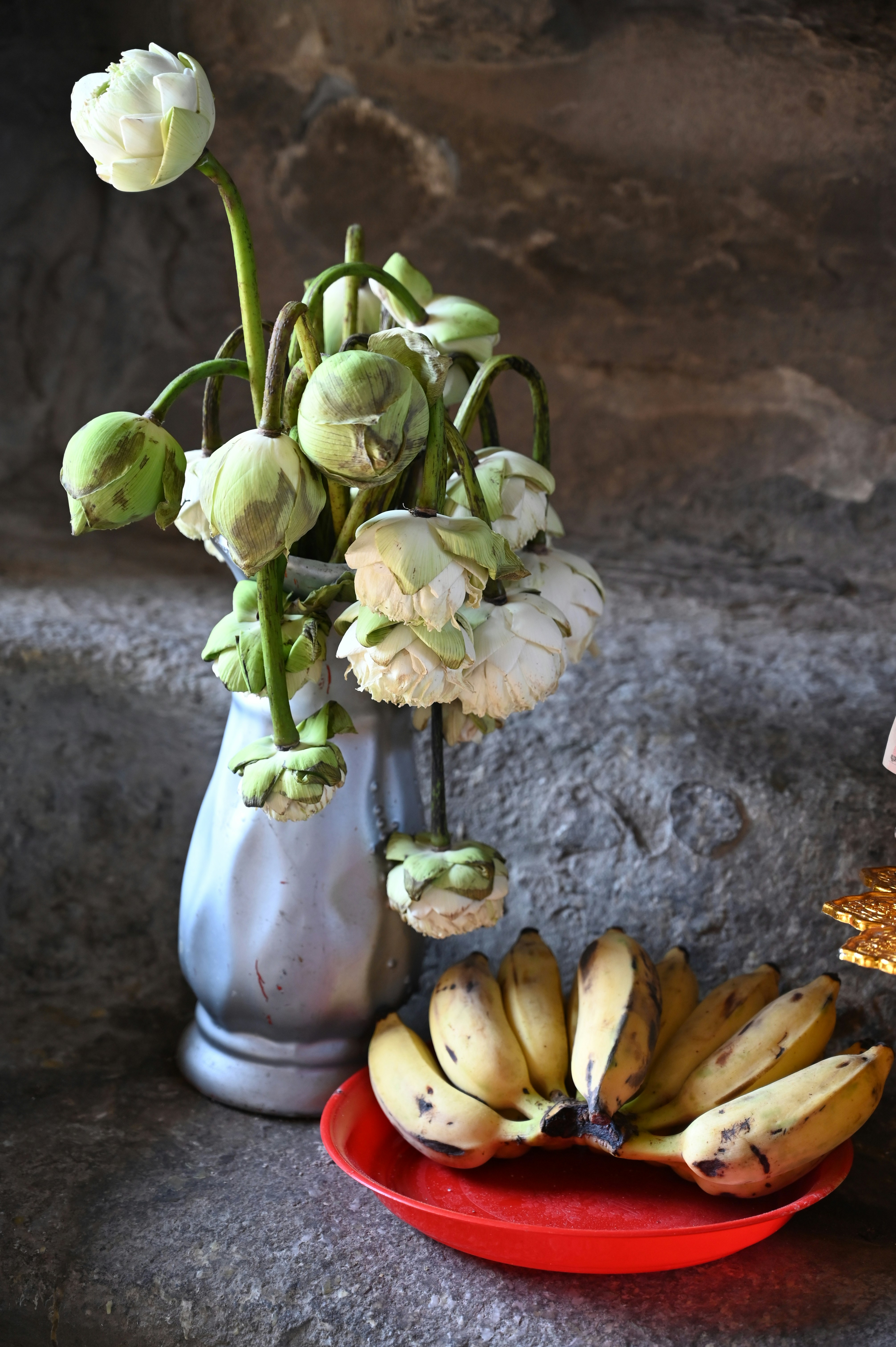 Withered blooms in a quiet still-life: a vase of lotus-like blossoms beside a banana centerpiece