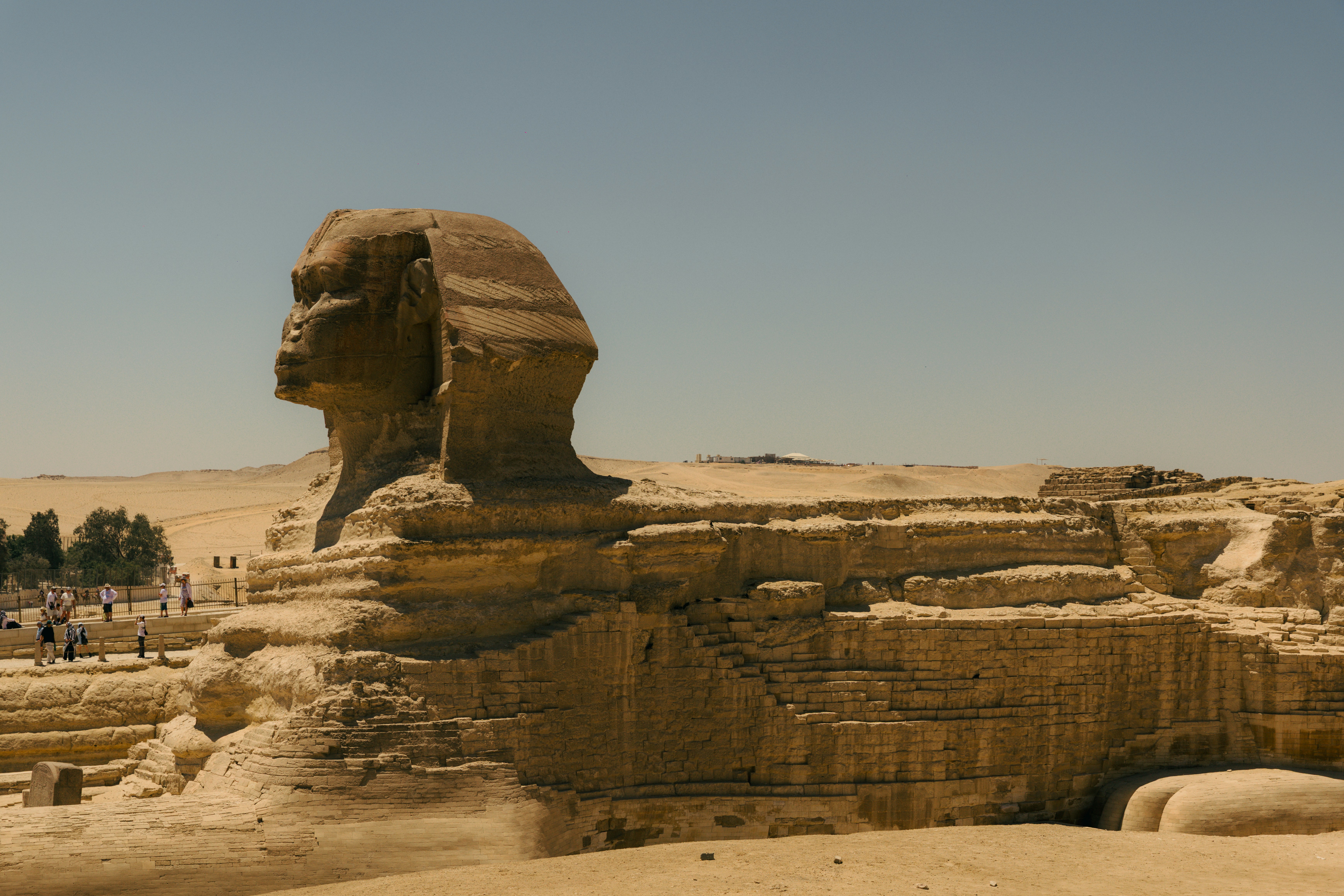 The Sphinx of the Sands: A Silent Guardian Over a Desert Horizon