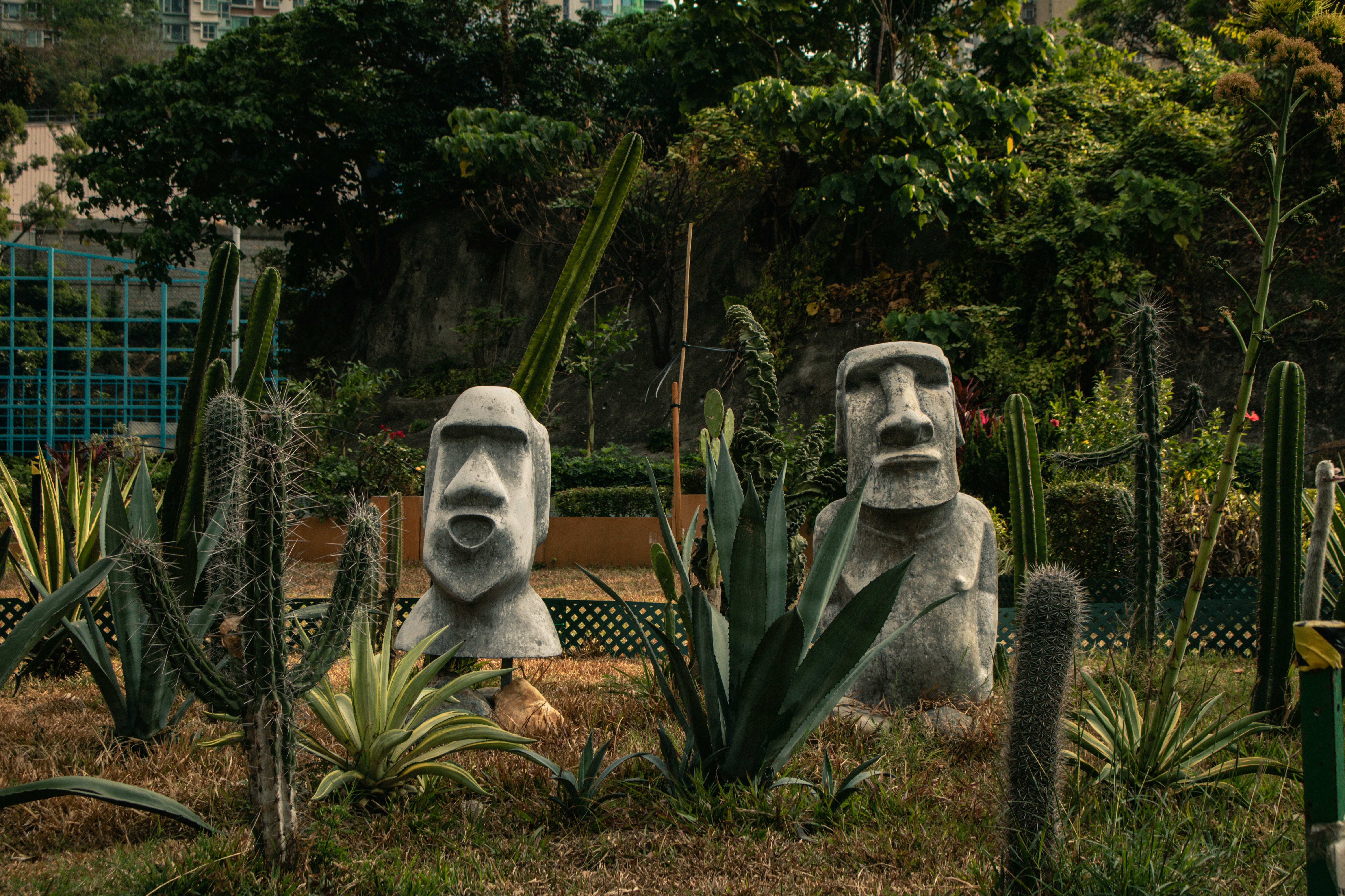 Stone Moai in a Desert Garden