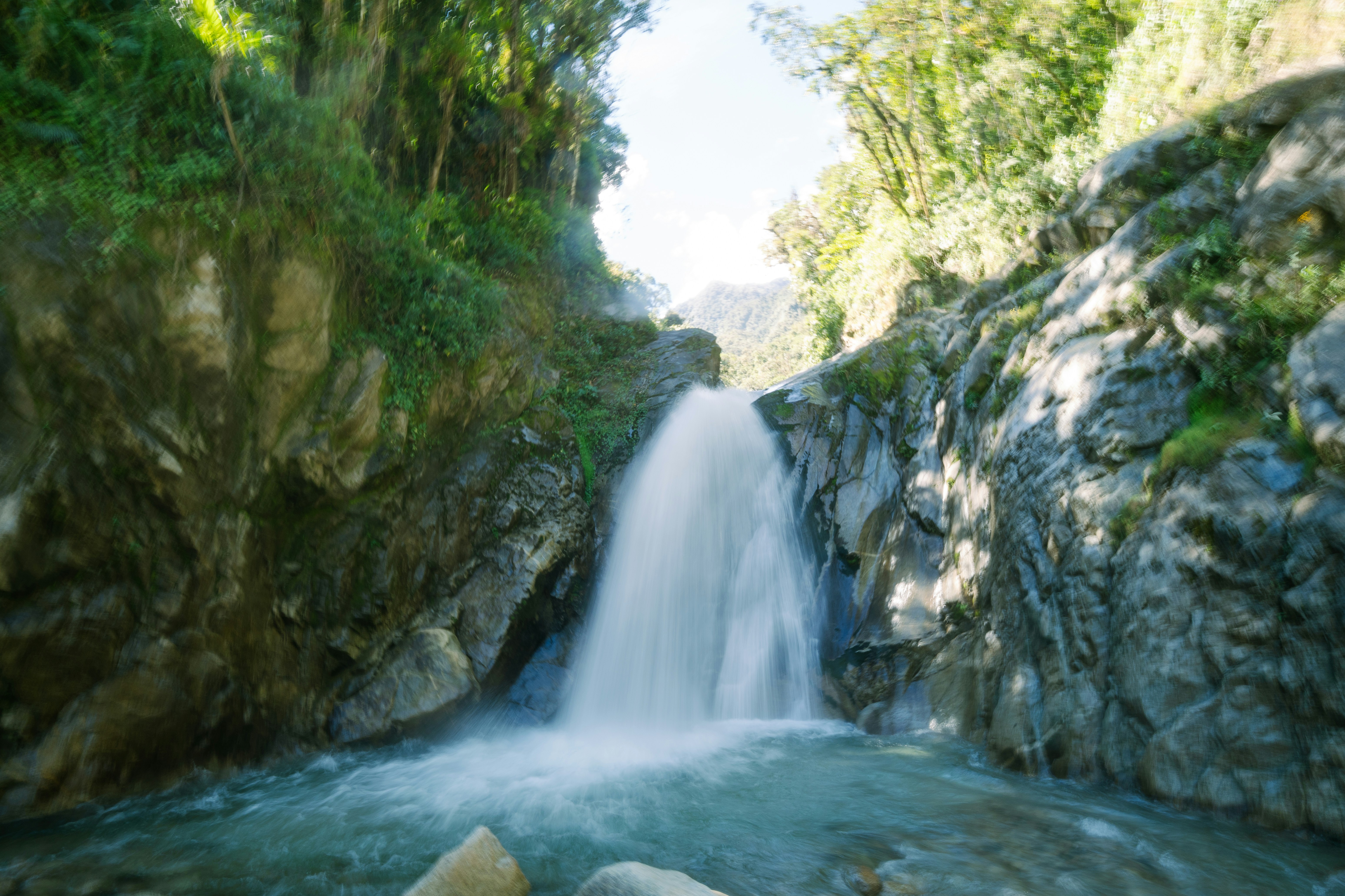 Hidden Cascade Between Fern-Stamped Cliffs