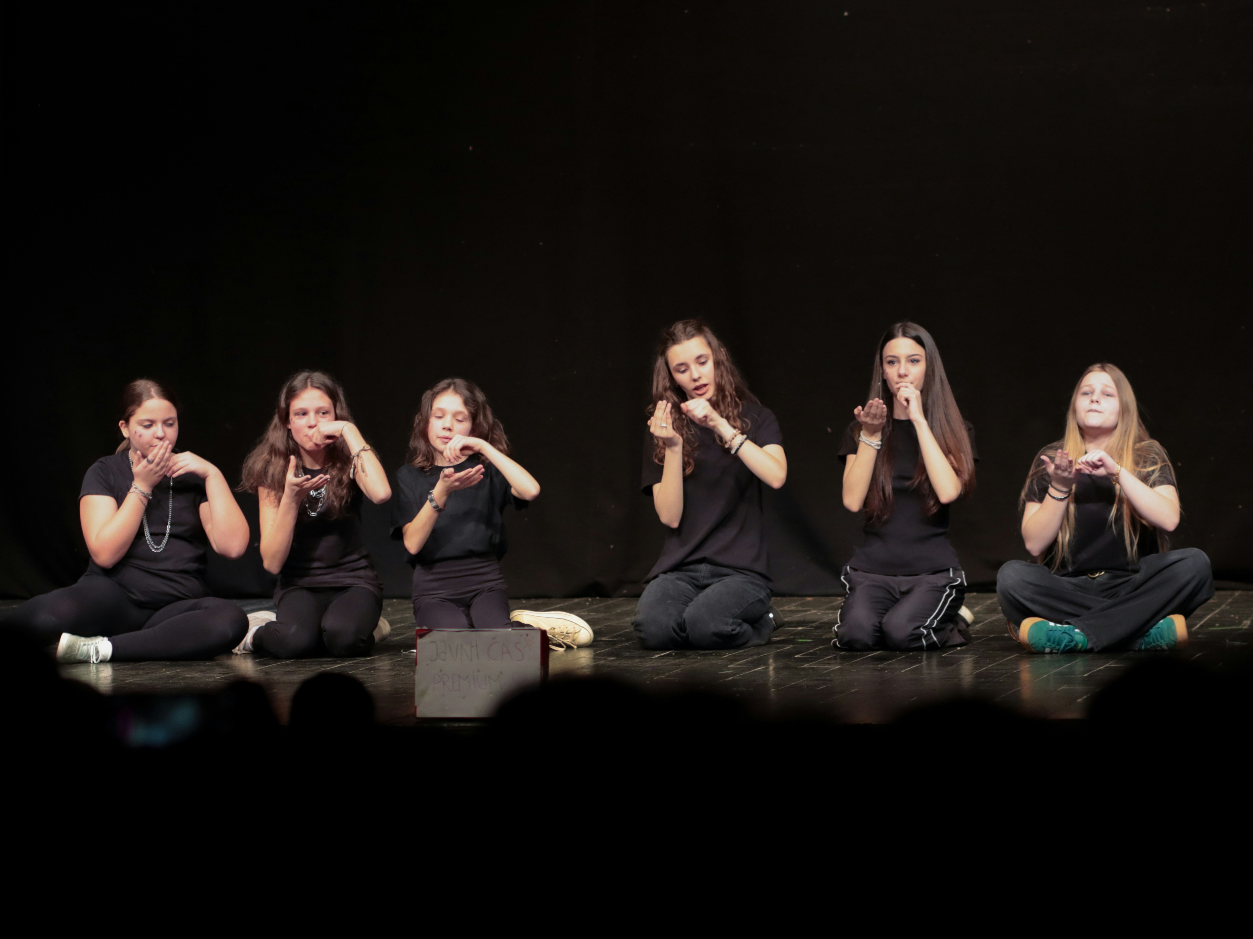 Harmonic Voices: A Lineup of Singers in Quiet Performance