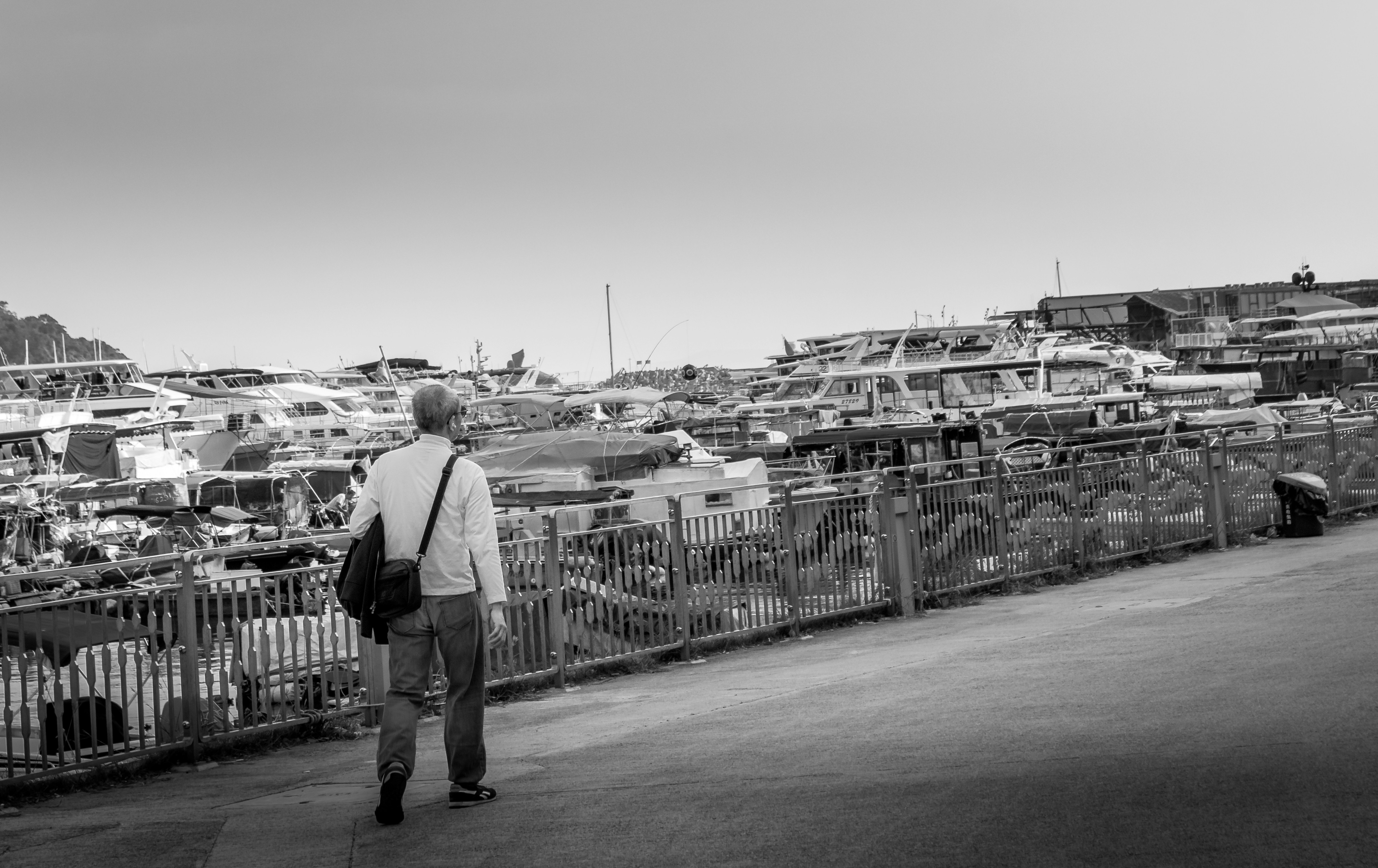 Dockside Stroll: A Lone Visitor Overlooking the Marina